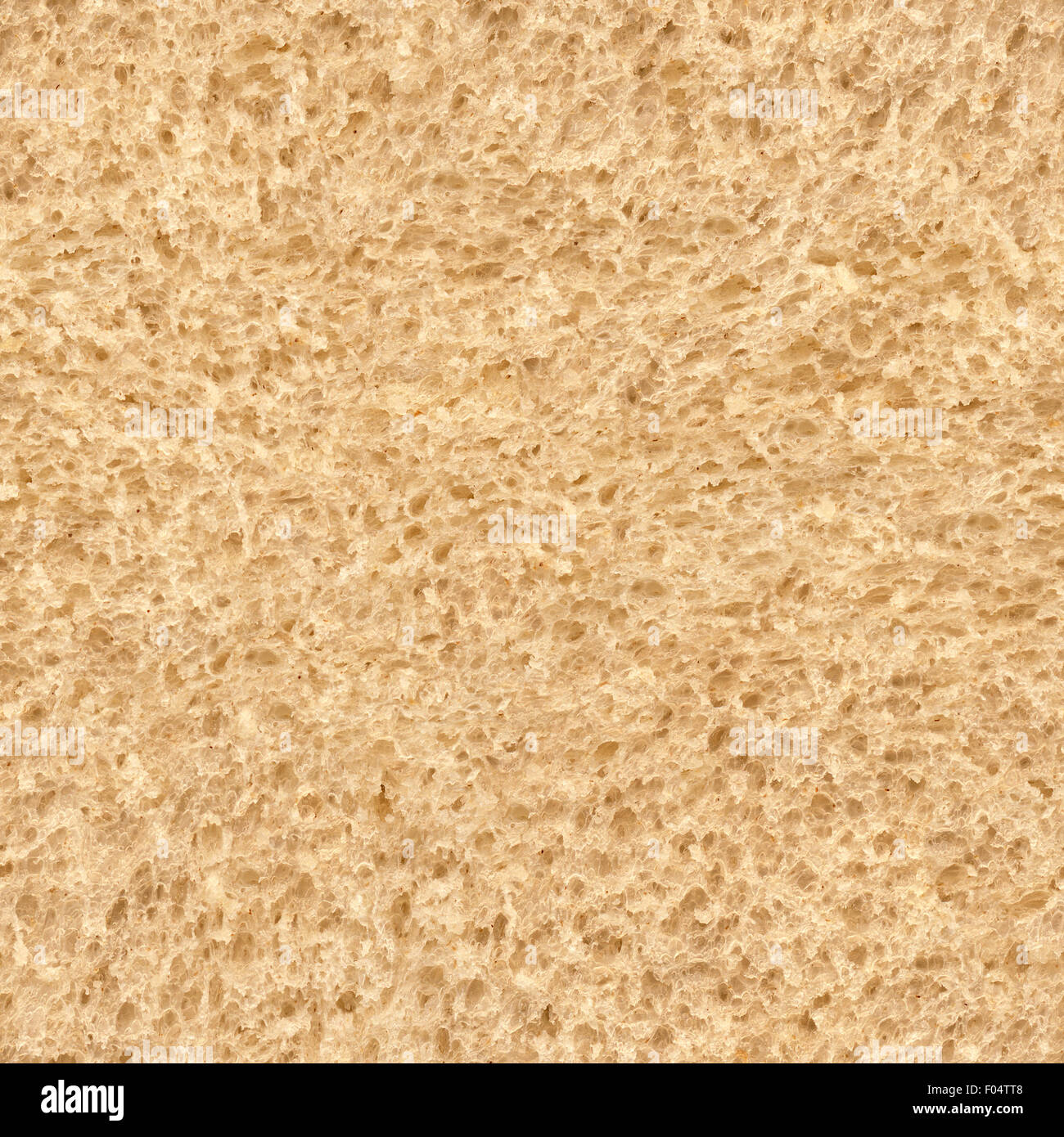 Bread Crust Texture