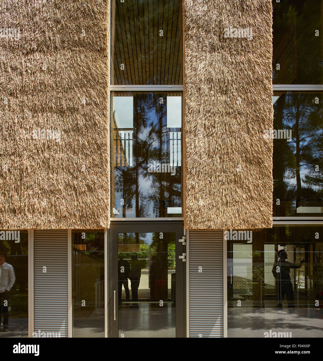Thatch panel and window detail. The Enterprise Centre UEA, Norwich ...