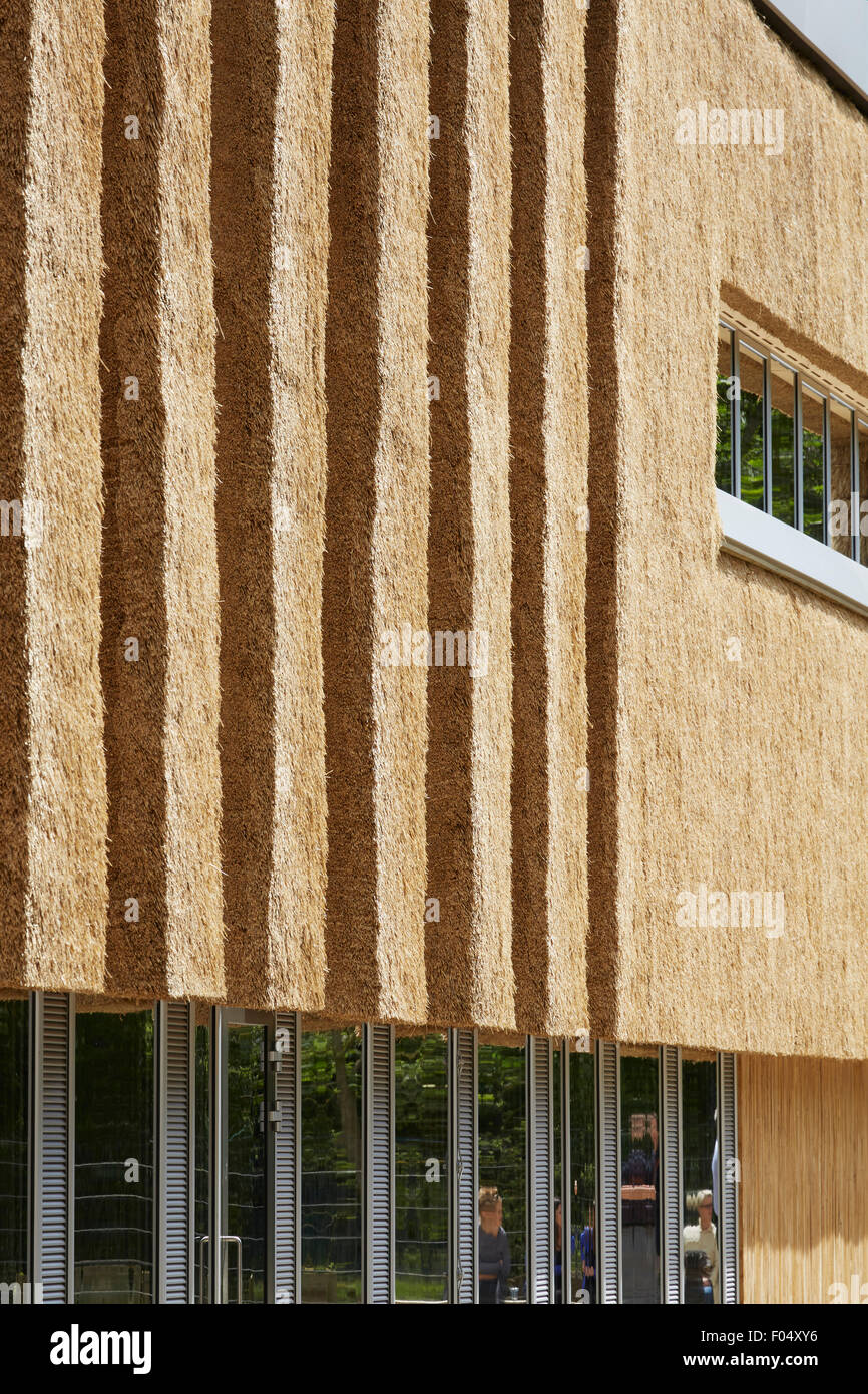 Perspective of thatch panel facade. The Enterprise Centre UEA, Norwich ...