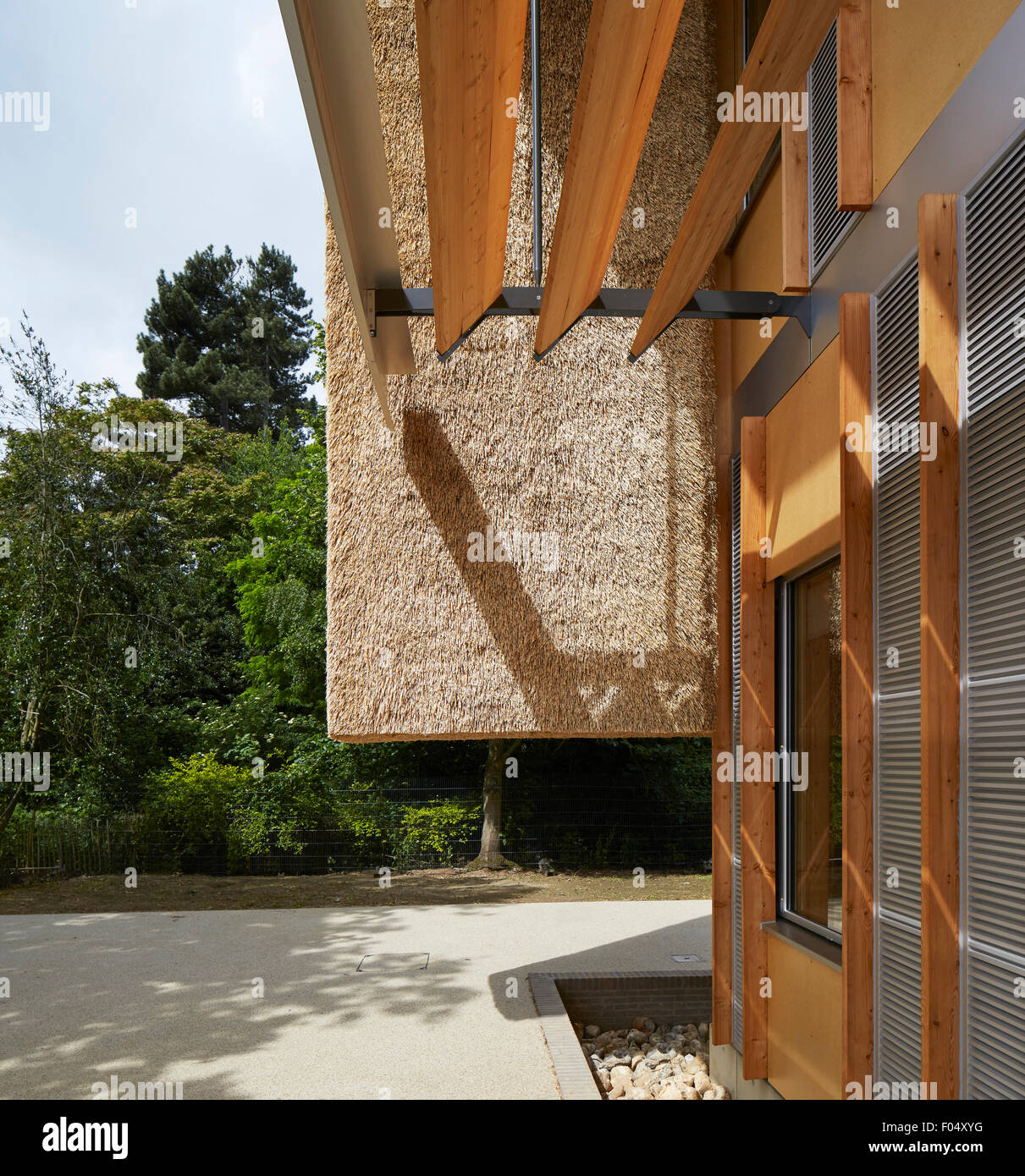 Detail of timber brise soleil and thatch panel. The Enterprise Centre ...