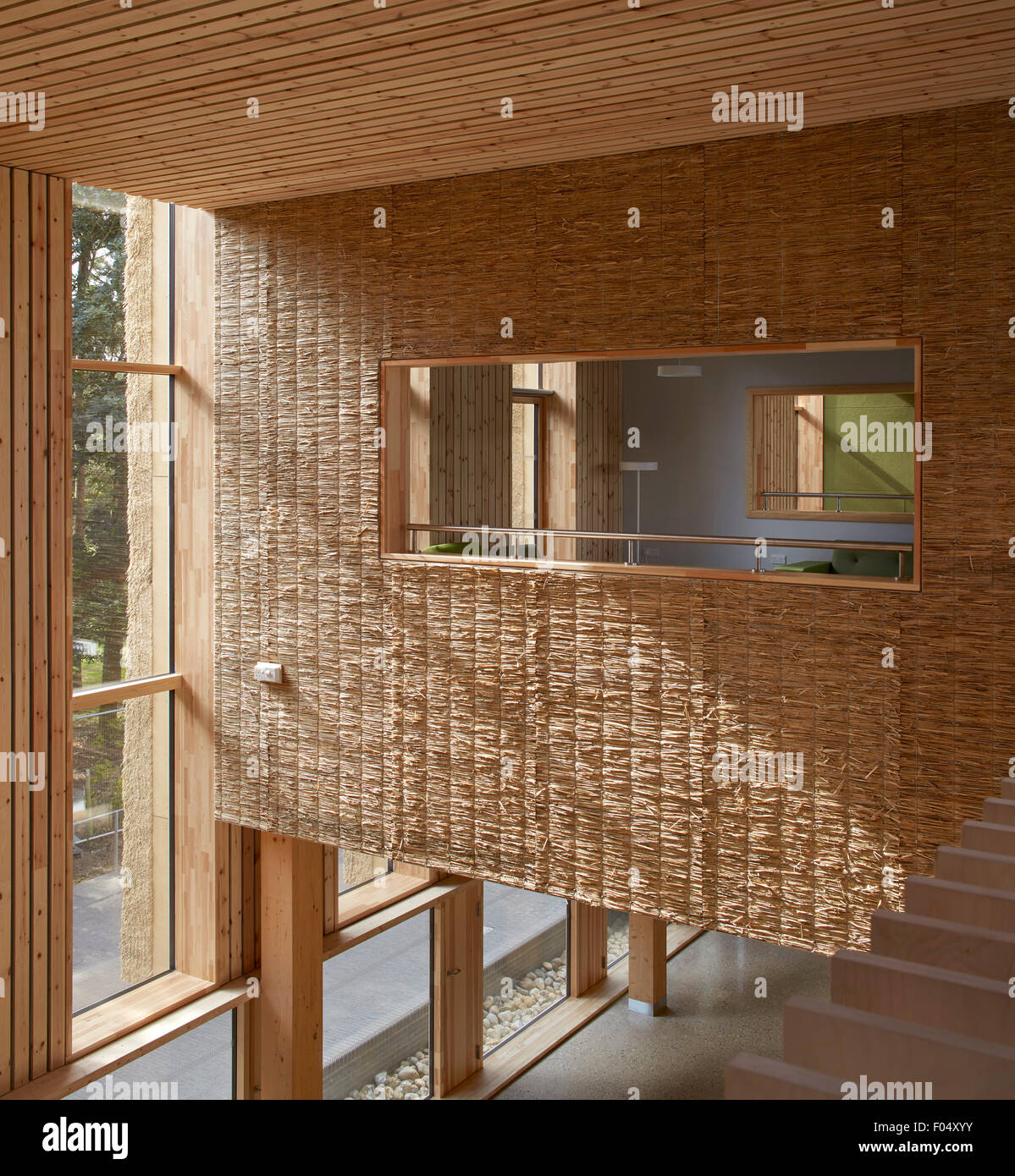 View from first floor window hi-res stock photography and images - Alamy