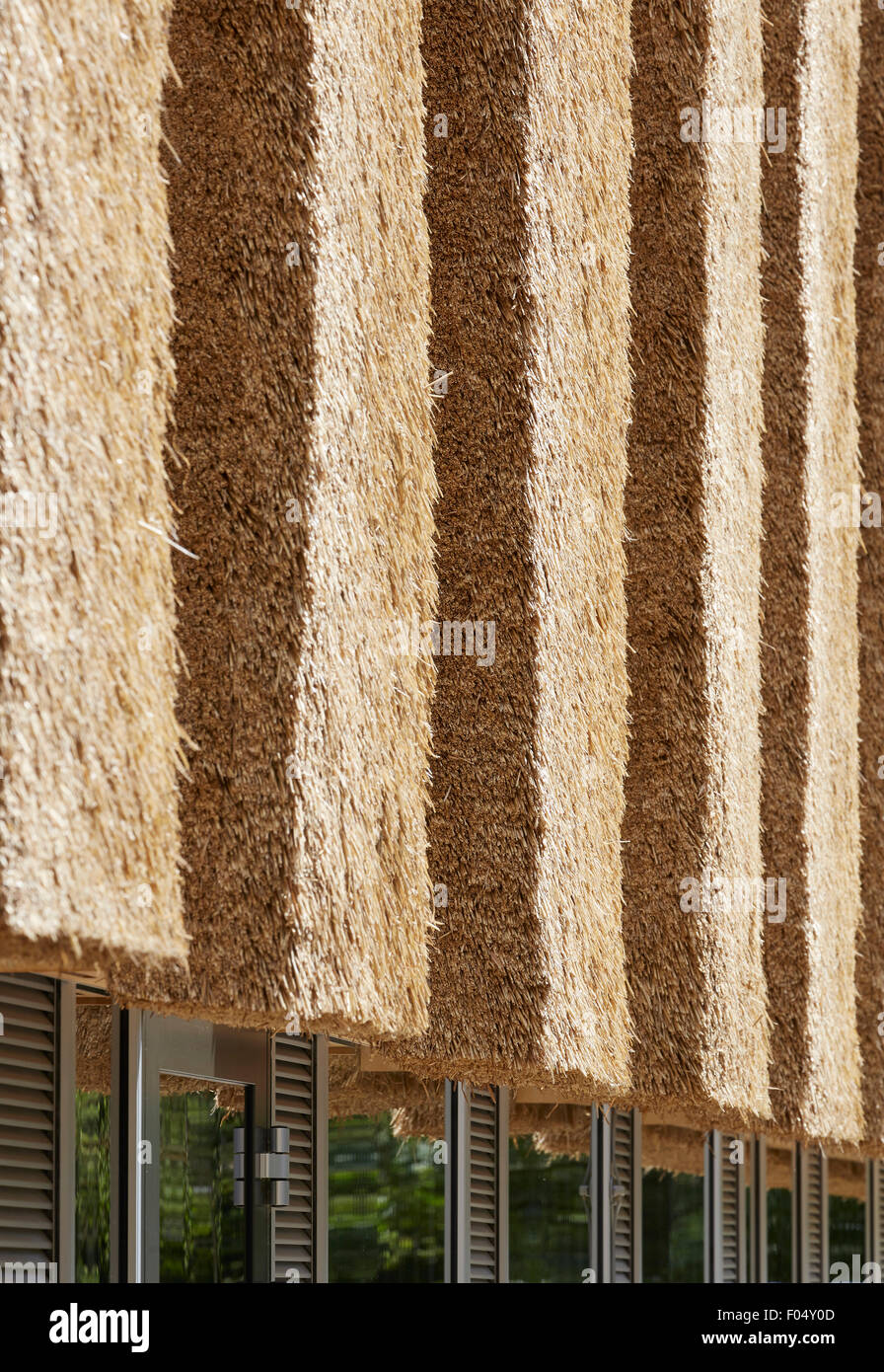 Perspective of thatch panel facade and windows. The Enterprise Centre ...
