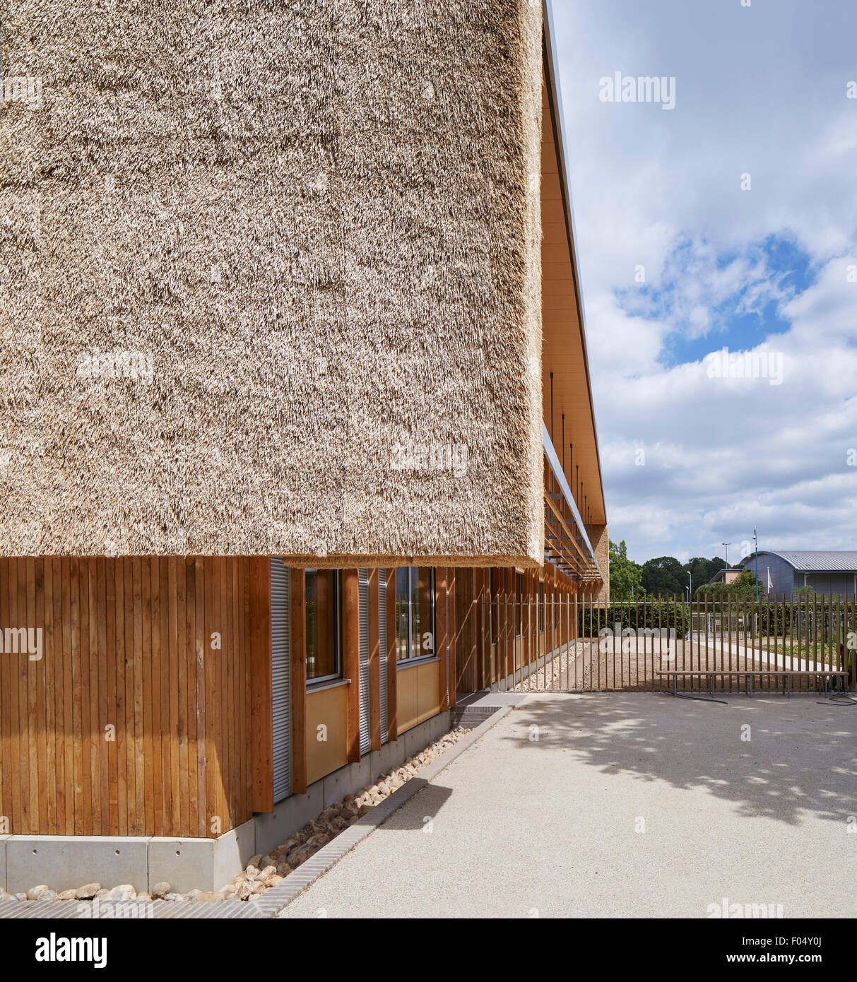 Perspective of thatch panel facade. The Enterprise Centre UEA, Norwich ...