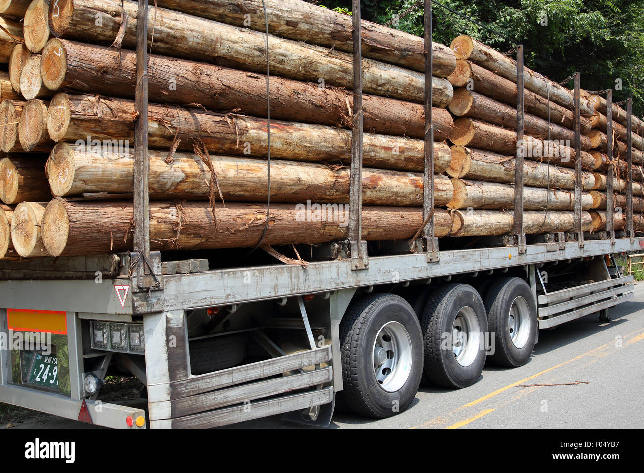 Timber trailer and stack of logs at a forest logging site Stock Photo ...