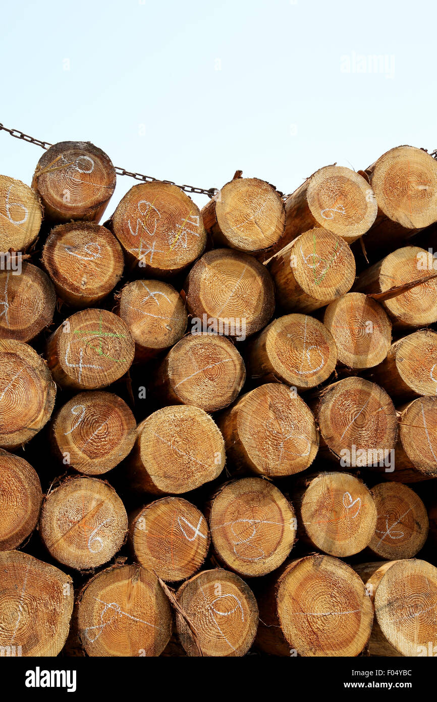 Stack of wood logs Stock Photo - Alamy