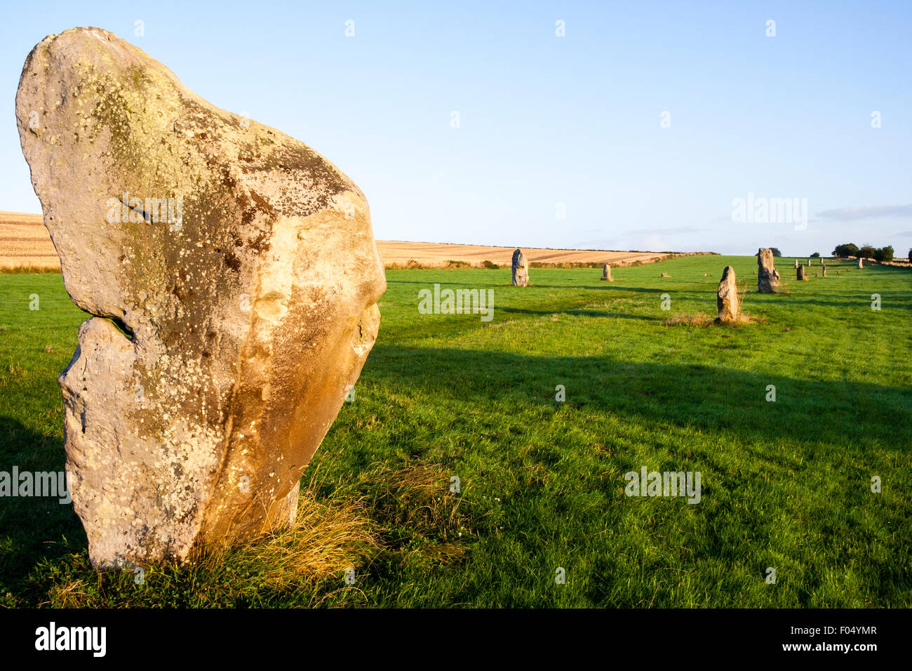 Neolith Avebury stone circle, henge. The West Kennet Avenue of standing ...