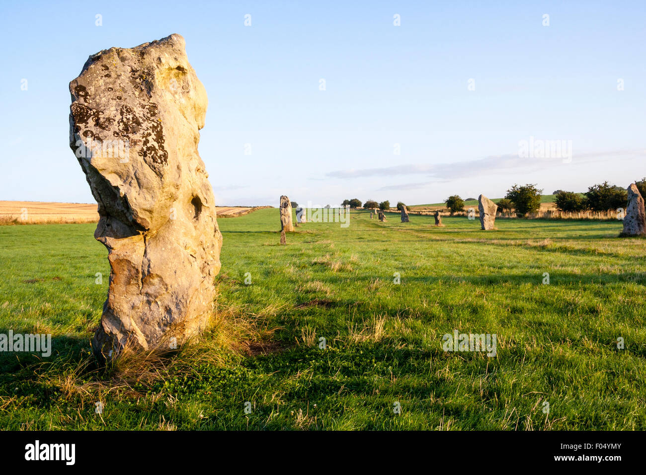 Neolith Avebury stone circle, henge. The West Kennet Avenue of standing ...