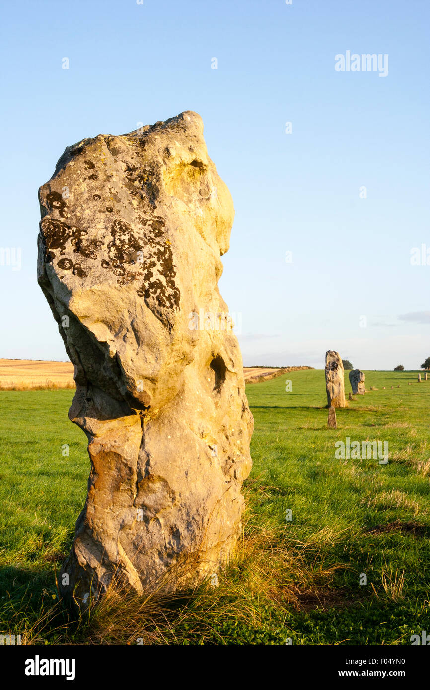 Neolith Avebury stone circle, henge. The West Kennet Avenue of standing ...