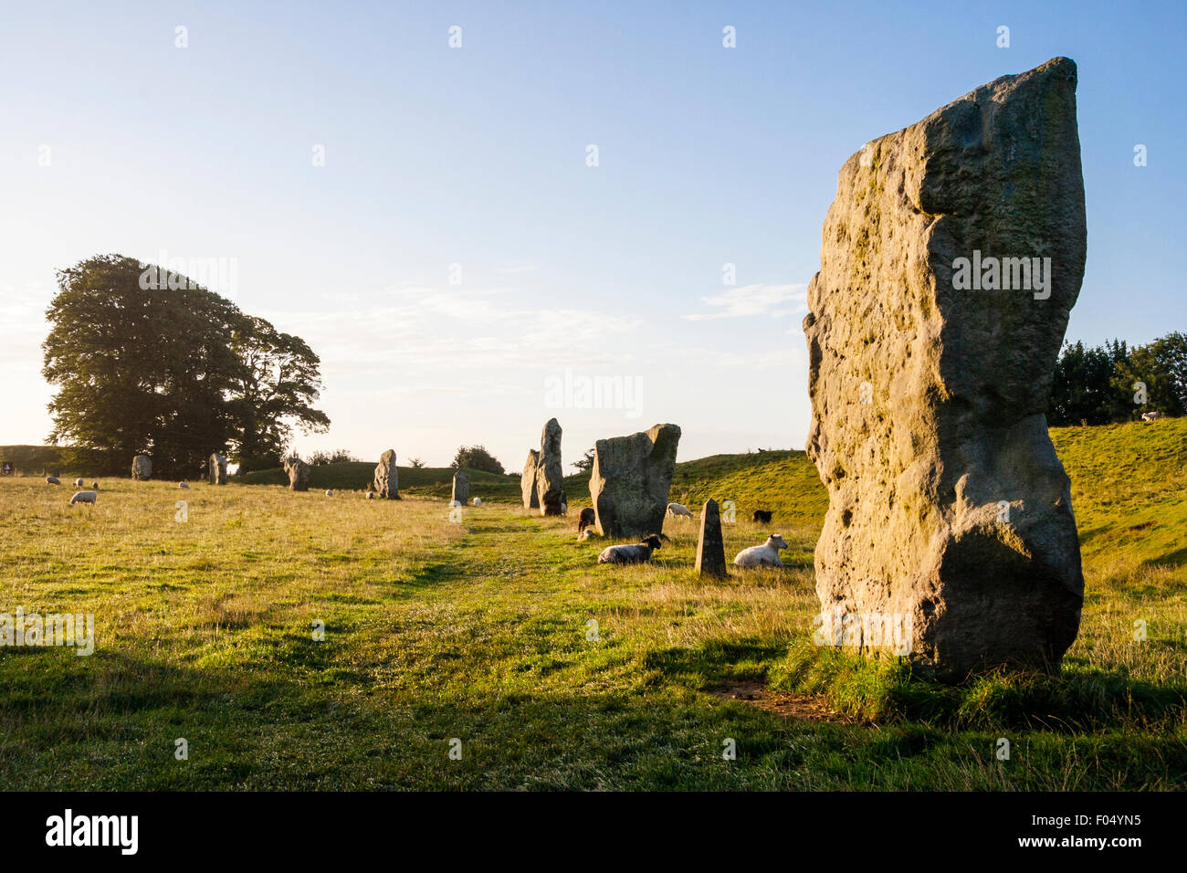 Avebury Neolithic stone circle, England. North West Quarter, with row ...