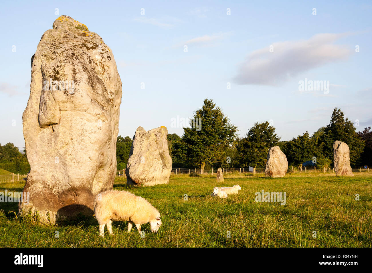 The neolithic Avebury stone circle, standing stones of the Southern ...