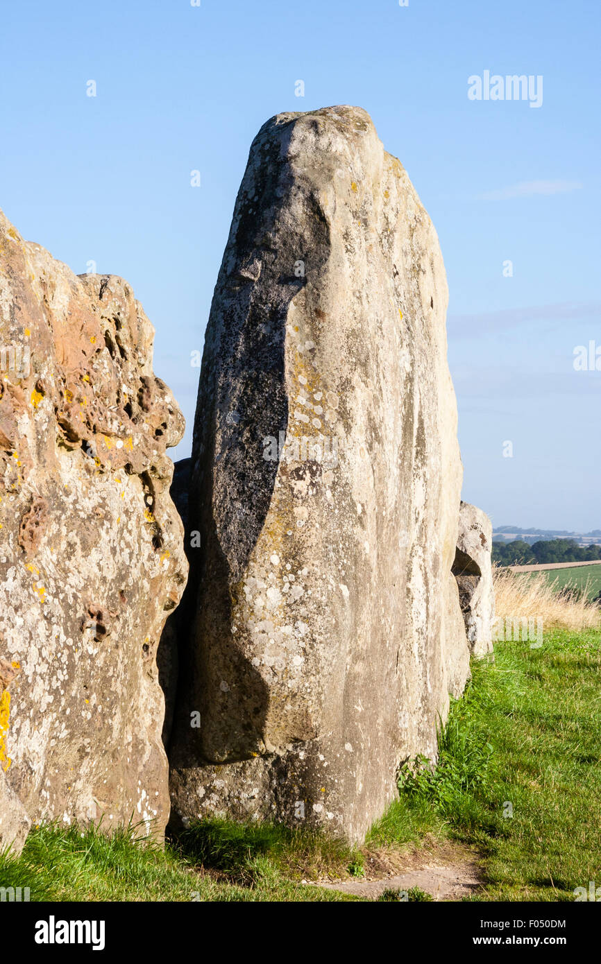 West Kennet Long Barrow, Neolithic tomb, burial mound on a chalk ridge ...