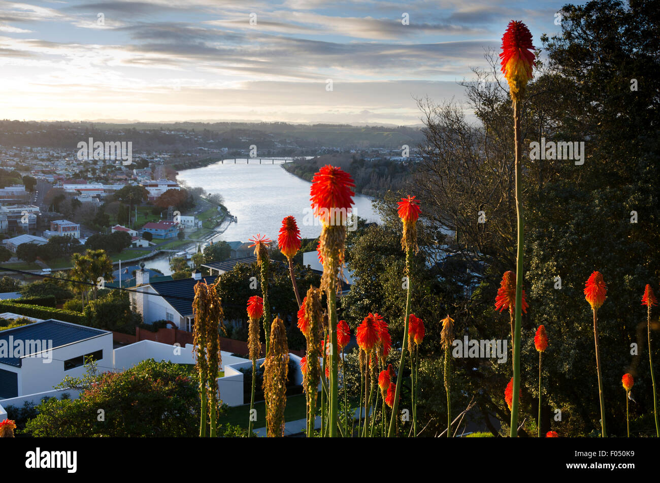 Whanganui River in evening, Wanganui, North Island, New Zealand Stock ...