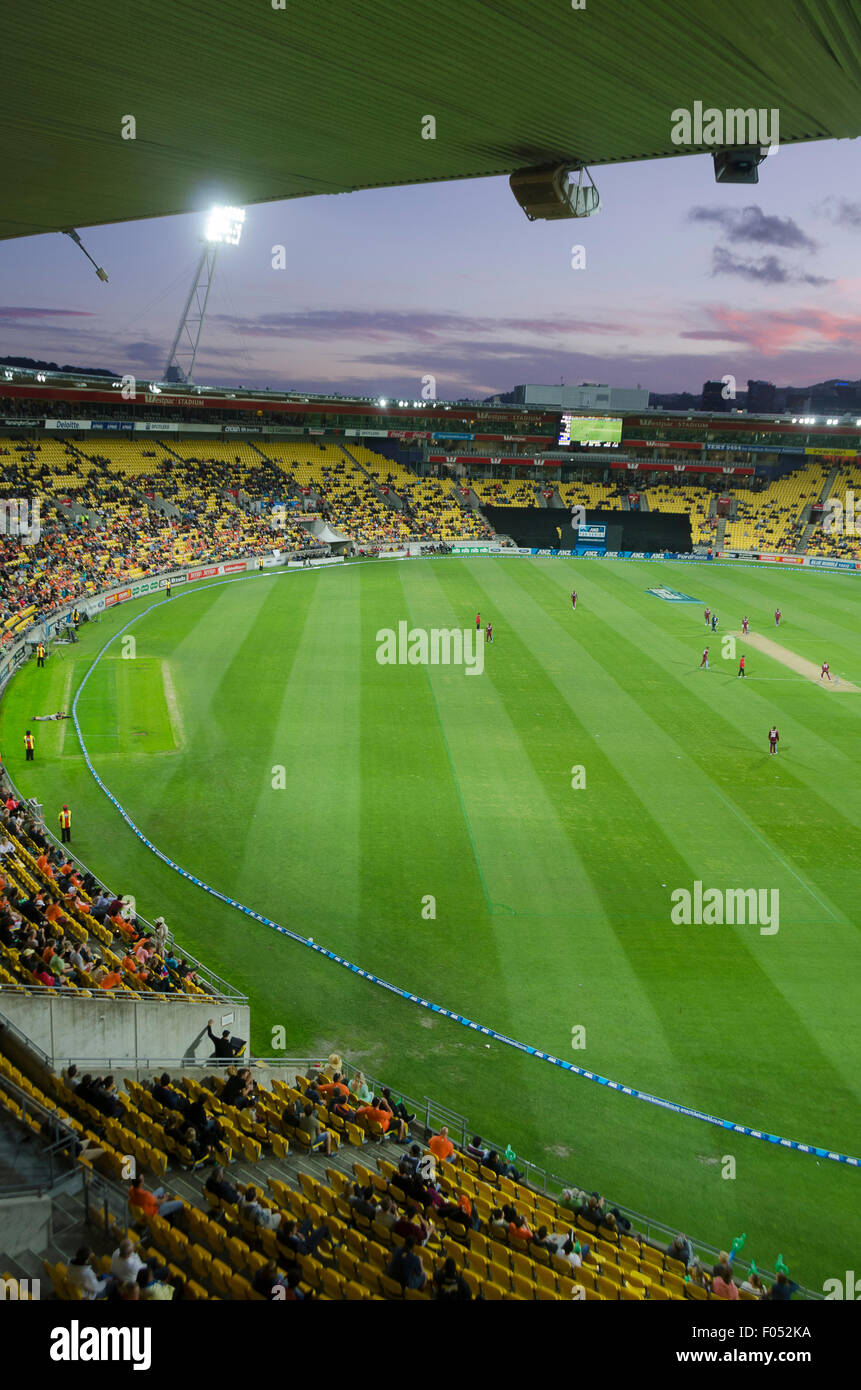 Cricket stadium grass hi-res stock photography and images - Alamy
