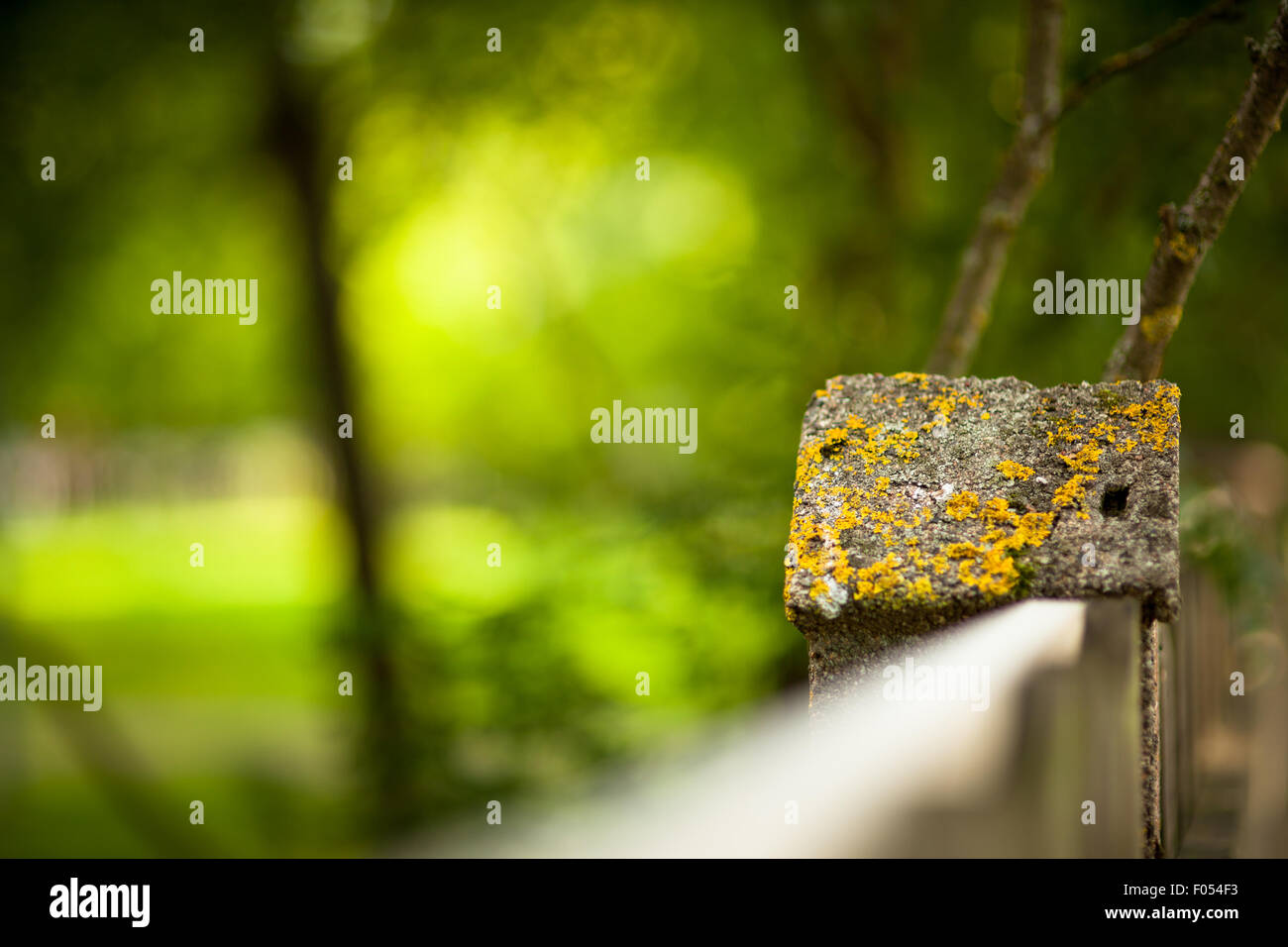 Stone fence and blurred forest background Stock Photo - Alamy