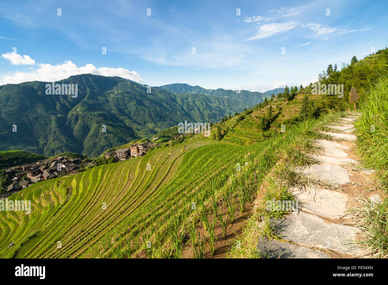 Longsheng rice terraces guilin china landscape Stock Photo - Alamy