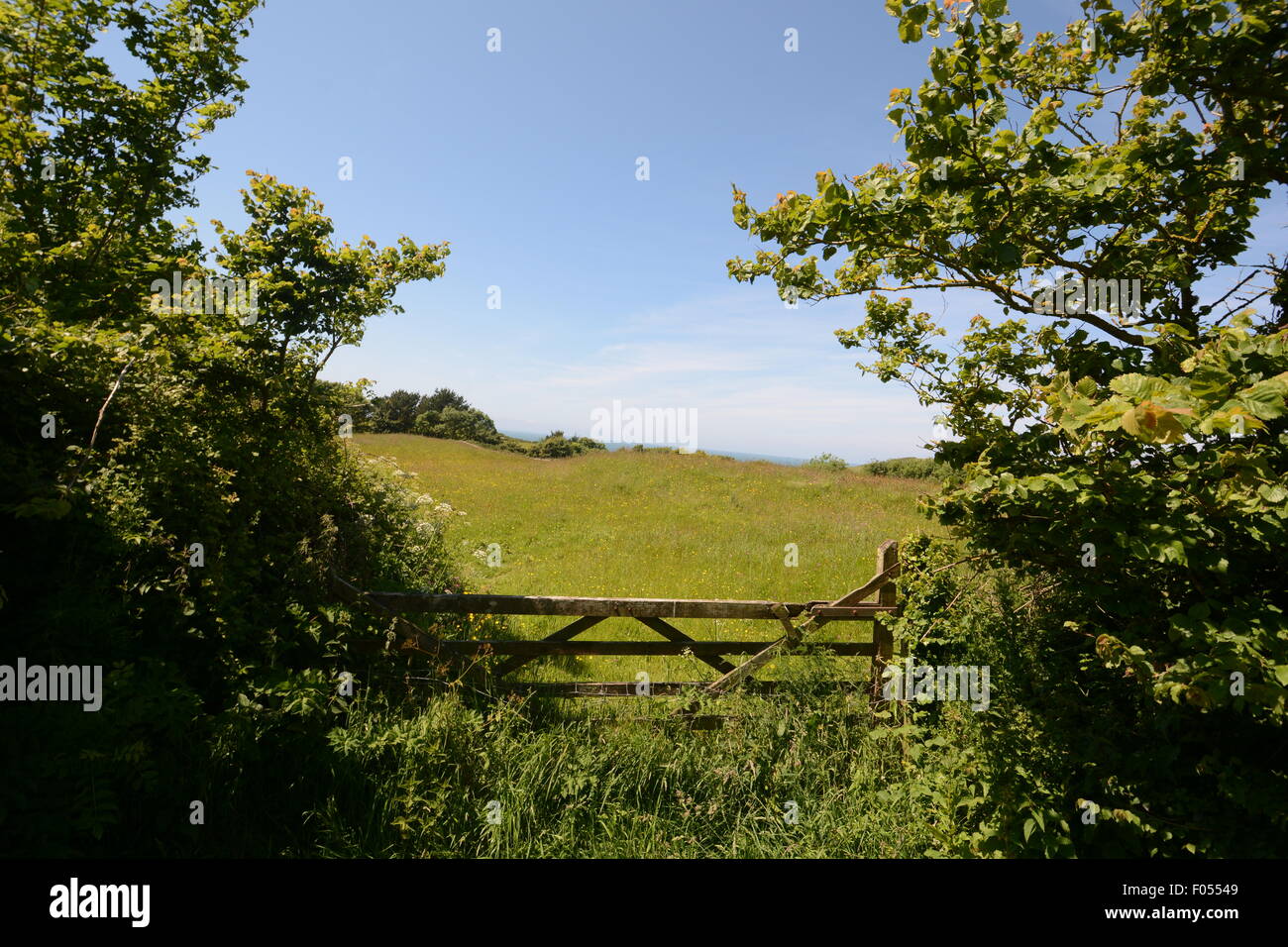 Cornborough Cliffs Walks and Coastal Farmland North Devon views from ...