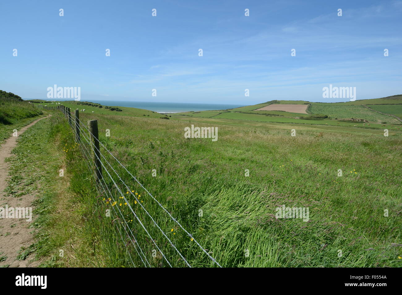 Cornborough Cliffs Walks and Coastal Farmland Abbotsham North Devon ...