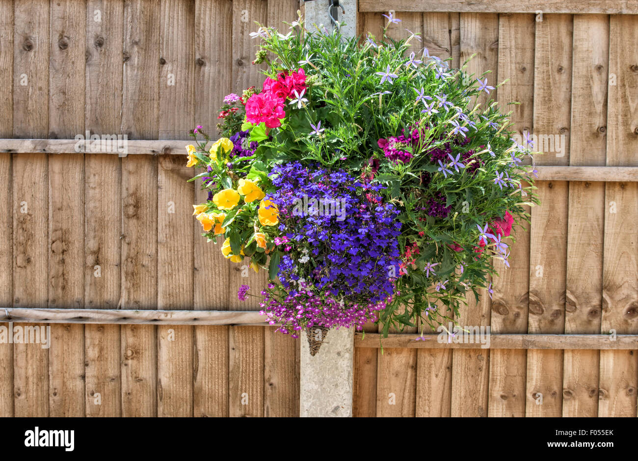 Hanging baskets hi-res stock photography and images - Alamy
