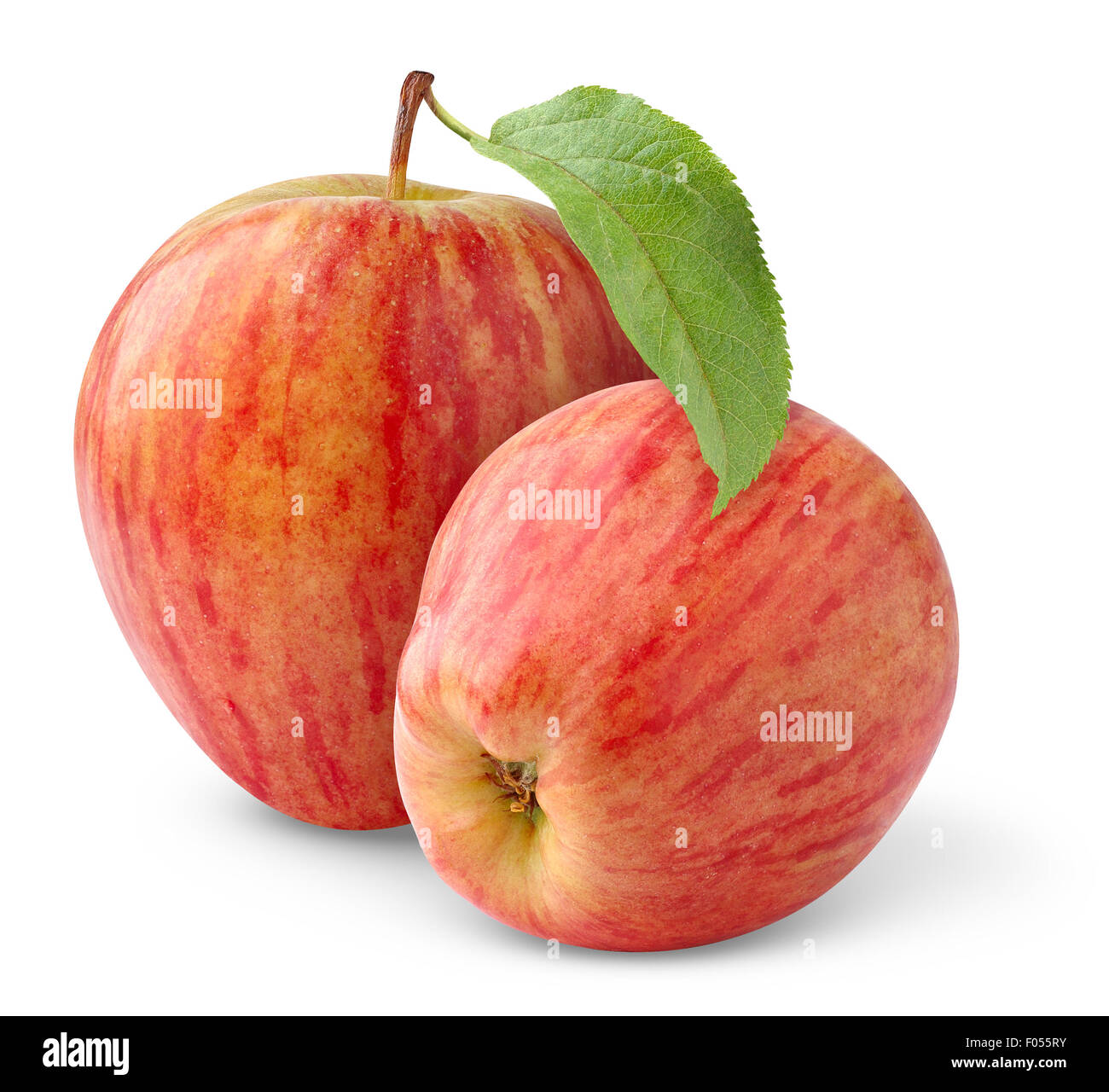 Two red apples isolated on white Stock Photo - Alamy