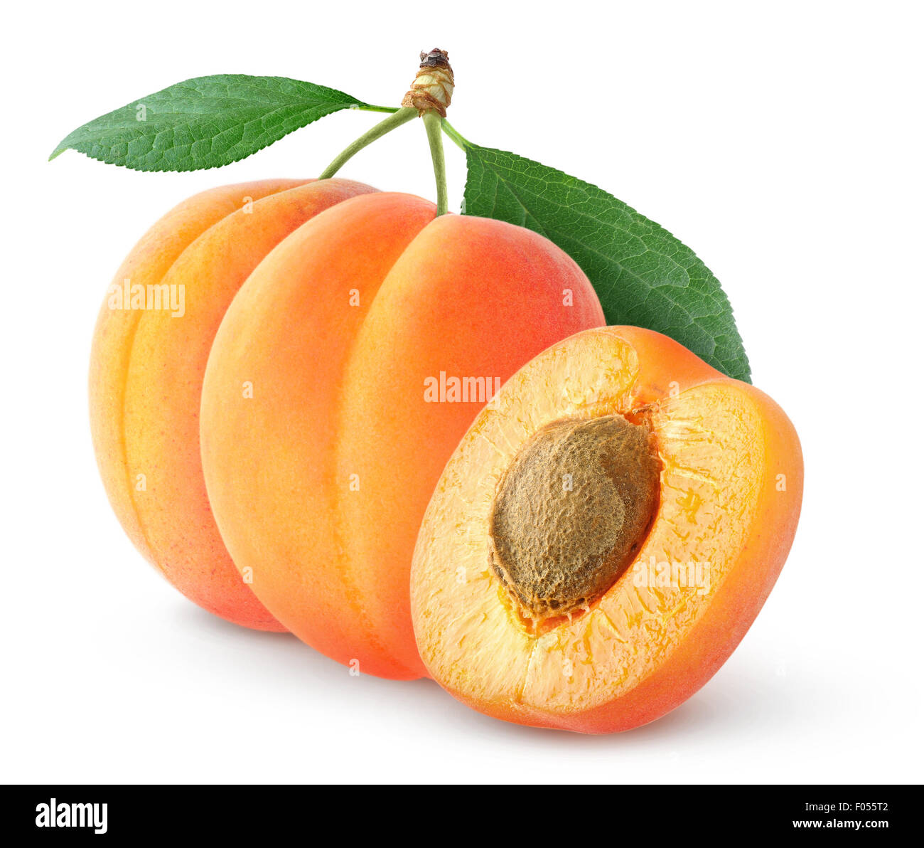 Apricots fruit branch hi-res stock photography and images - Alamy