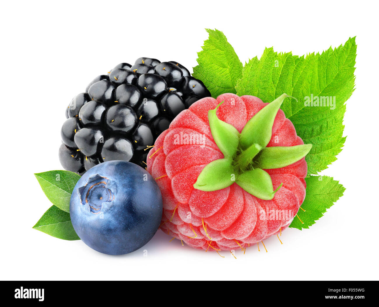 Types of berries hi-res stock photography and images - Alamy