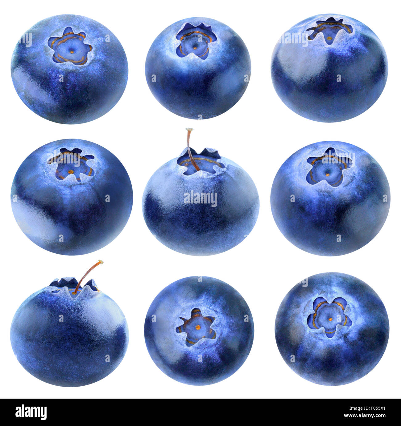 Collection of blueberries isolated on white background, with clipping ...