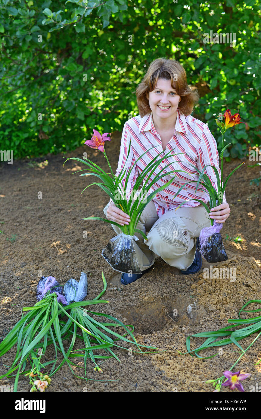A Woman planting flowers in the garden Stock Photo - Alamy