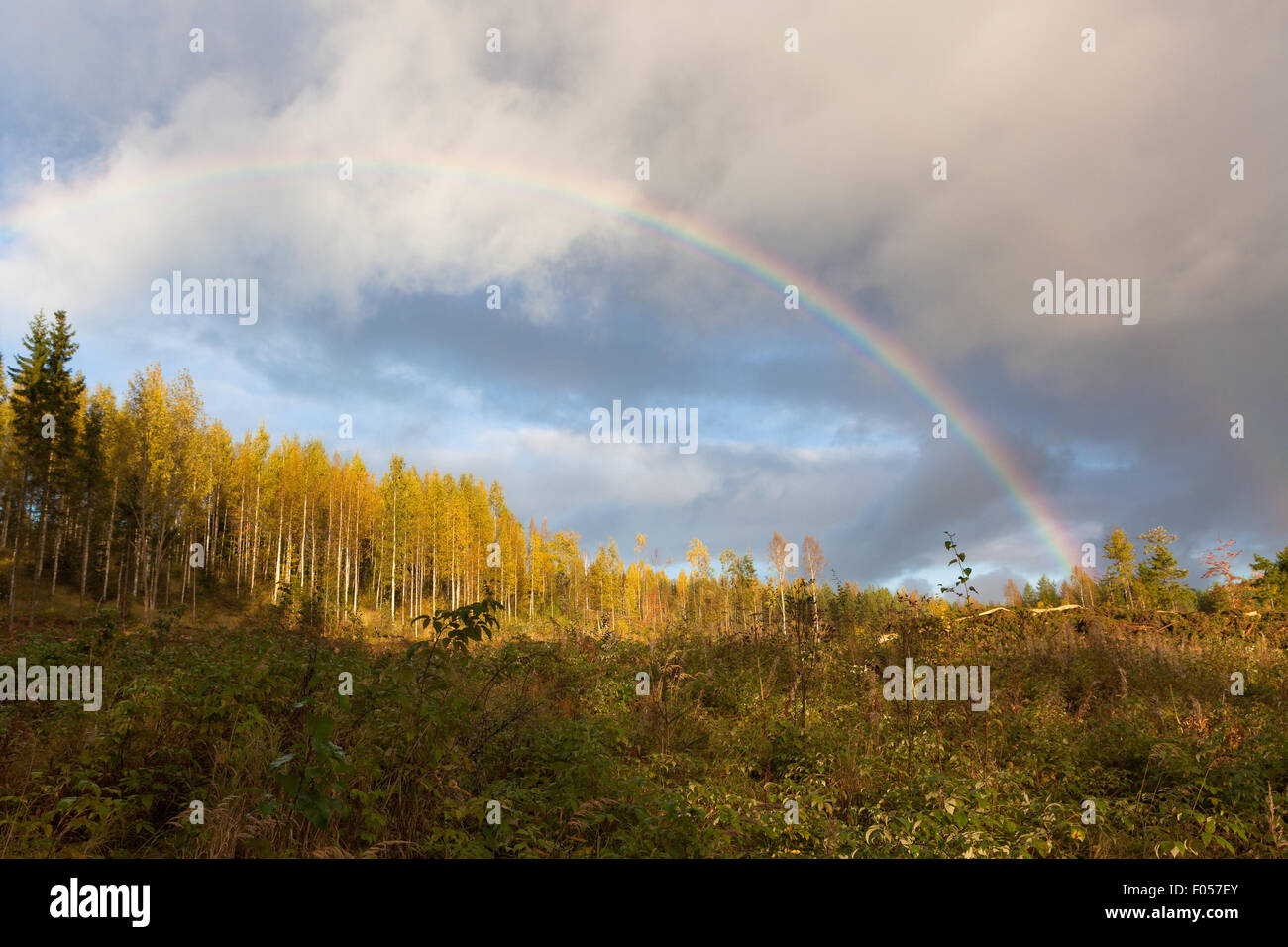 Rainbow after spring summer storm hi-res stock photography and images ...