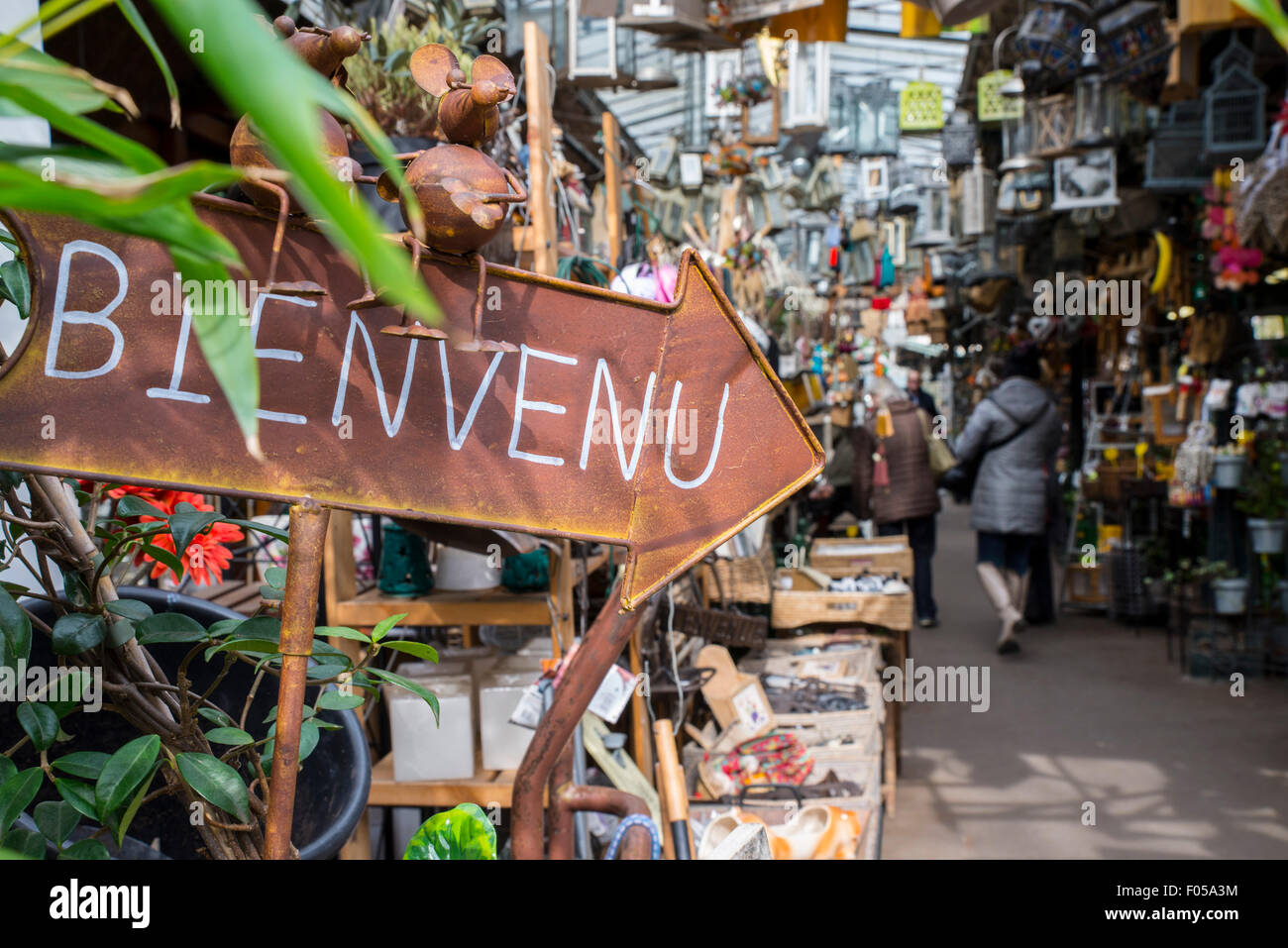The flower market on the Ile de la Cité Paris, France Stock Photo - Alamy
