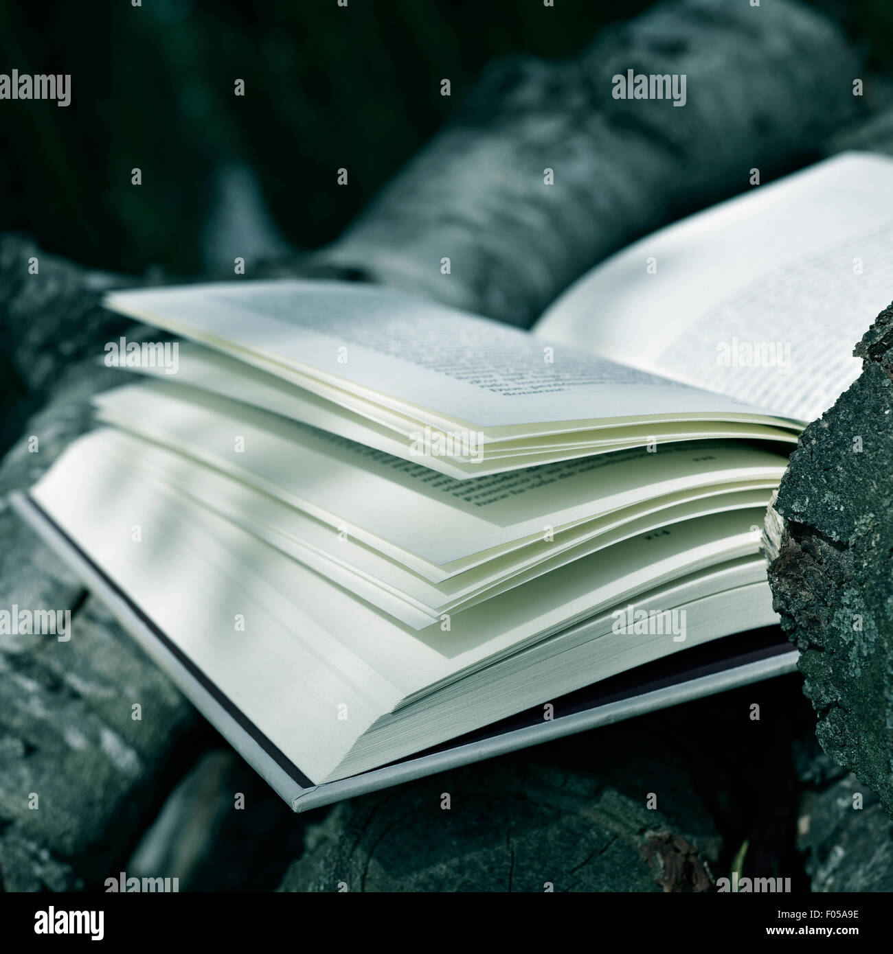 closeup of an open book outdoors in a rustic scenery with some tree ...