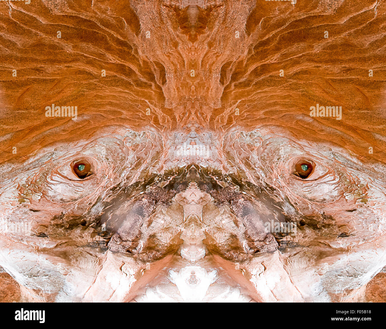 The face : The pattern on the surface of the stone Looks like the face ...