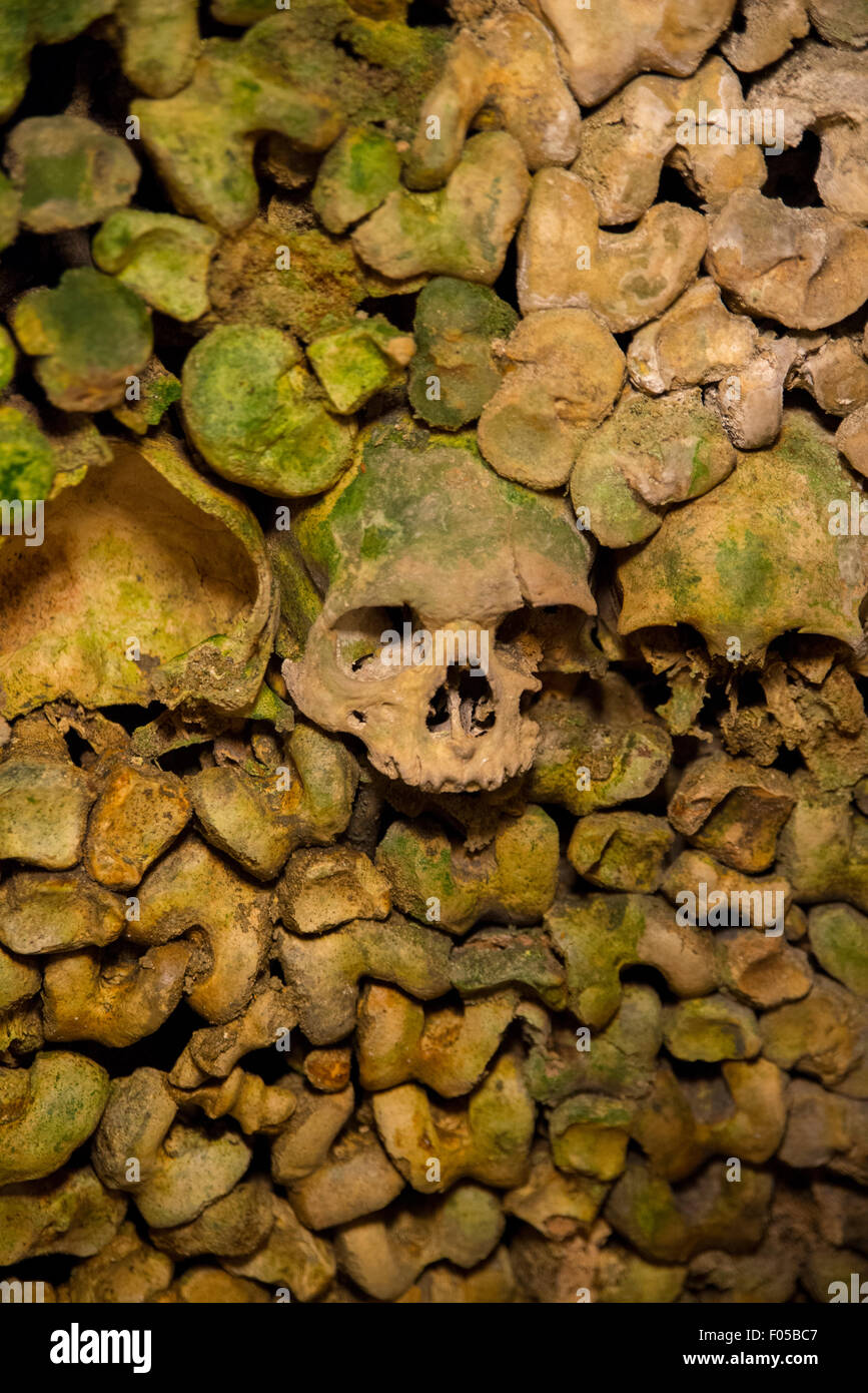 Skulls in the catacombs, Paris, France Stock Photo - Alamy