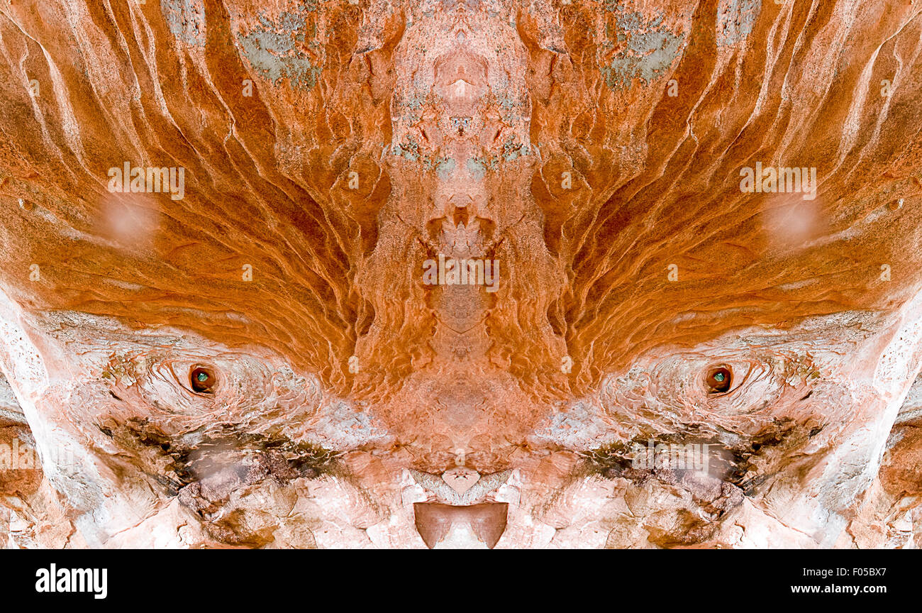 the face : The pattern on the surface of the stone Looks like the face ...