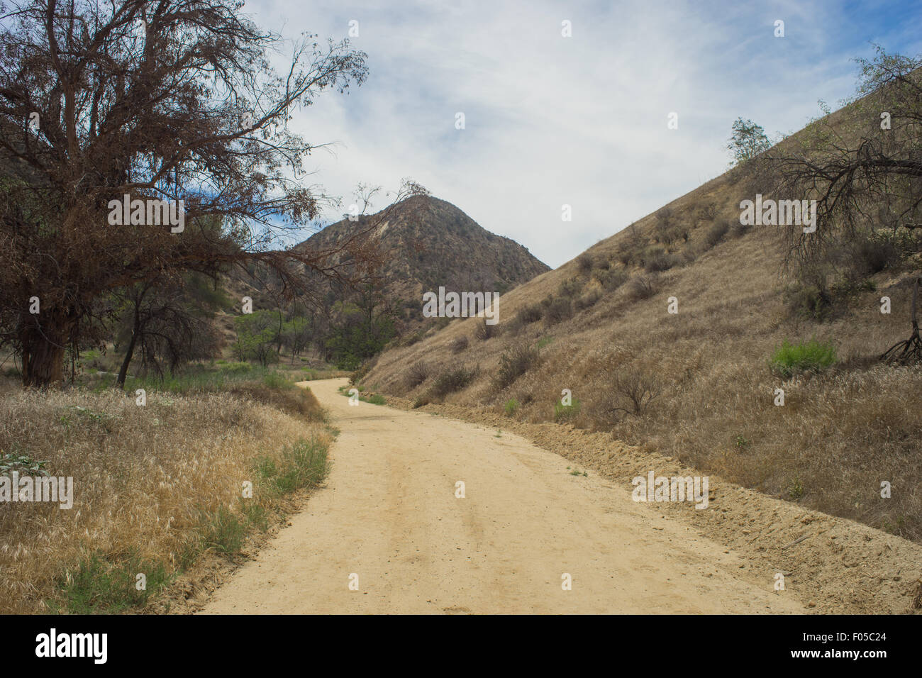 Sandy hiking in canyon between southern California hills Stock Photo ...