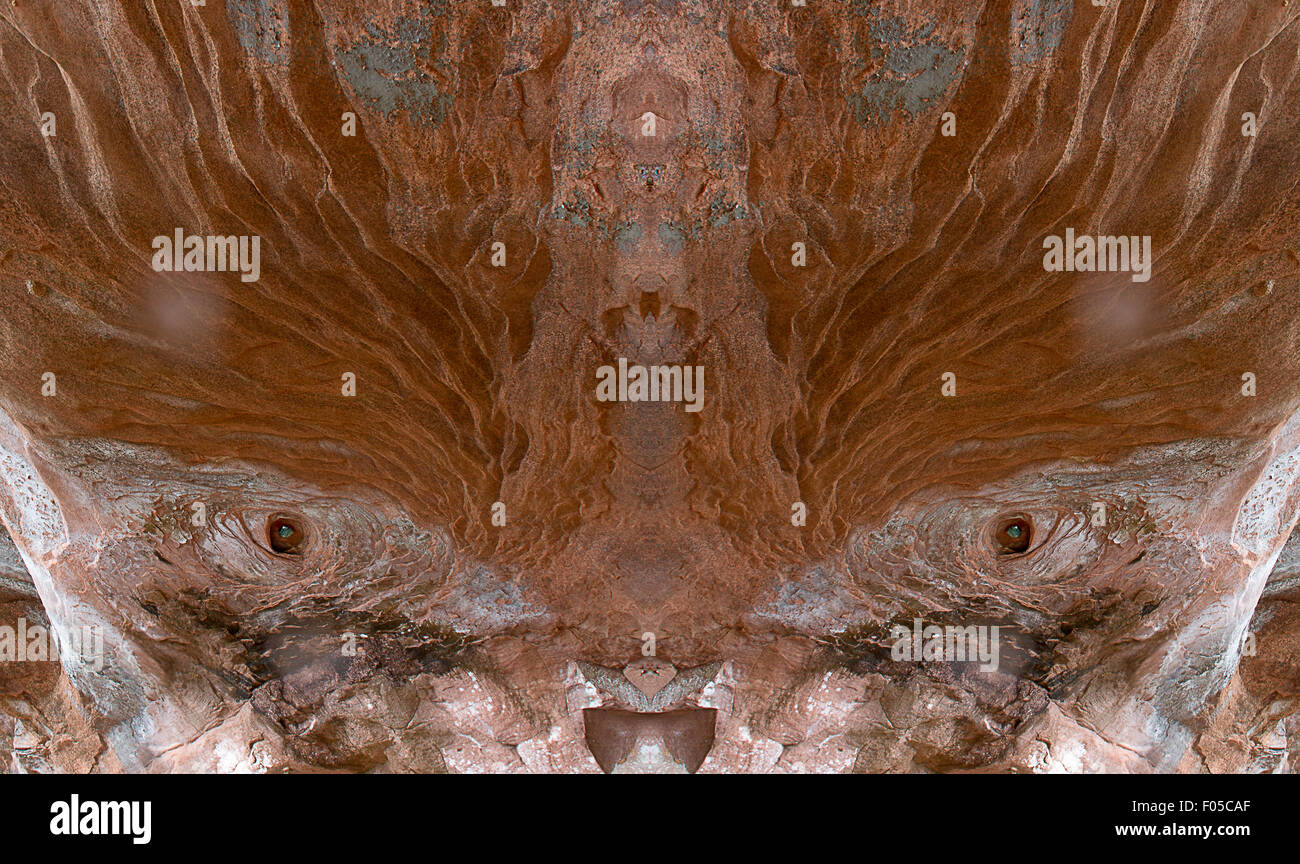 the face : The pattern on the surface of the stone Looks like the face ...