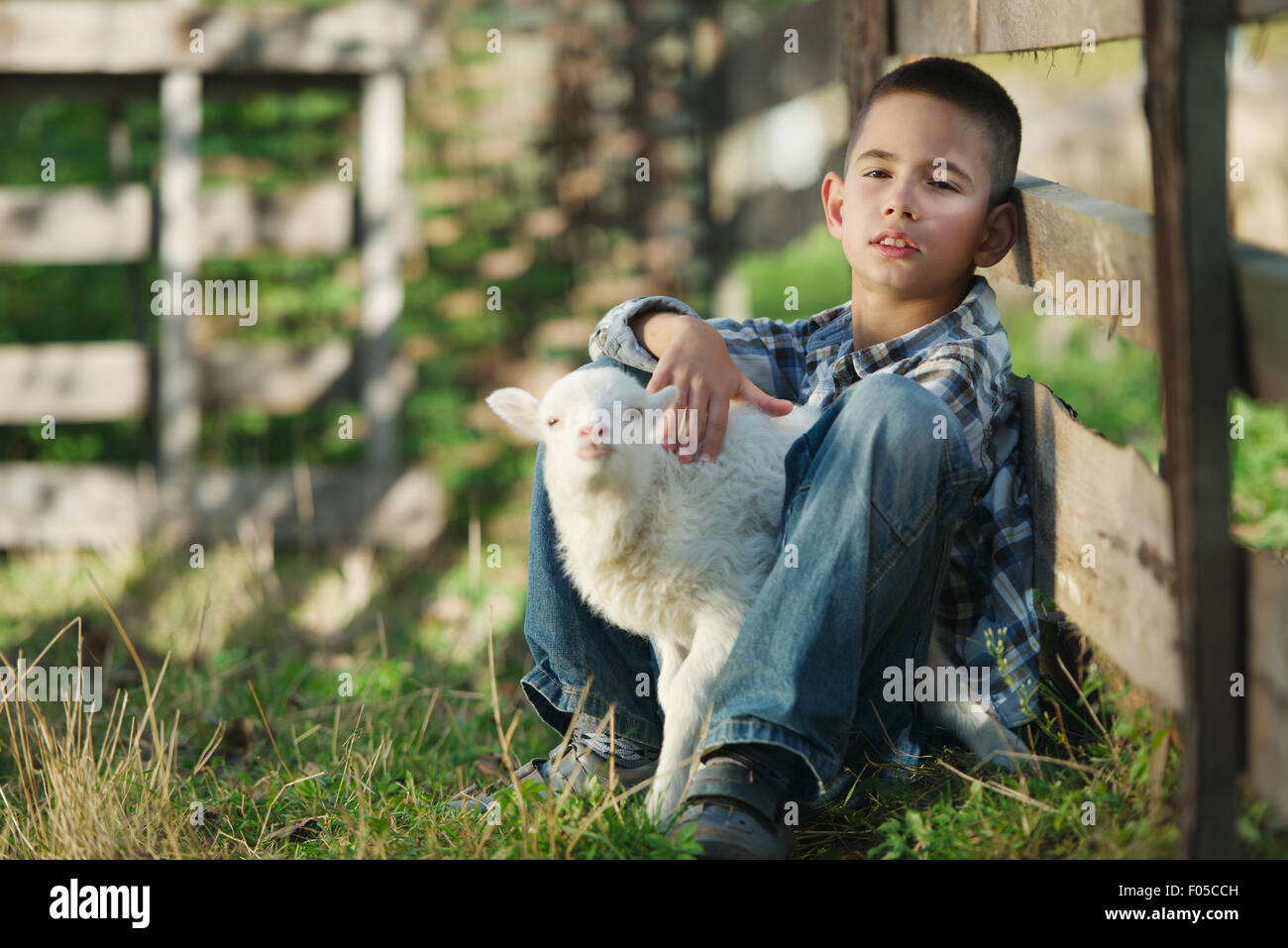 boy with lamb on the farm Stock Photo - Alamy