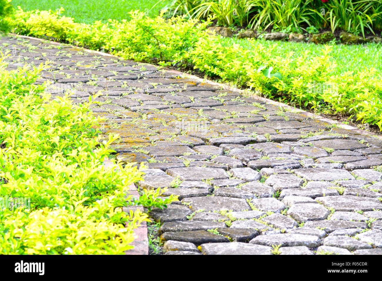 A rock path in the middle of a house garden Stock Photo - Alamy