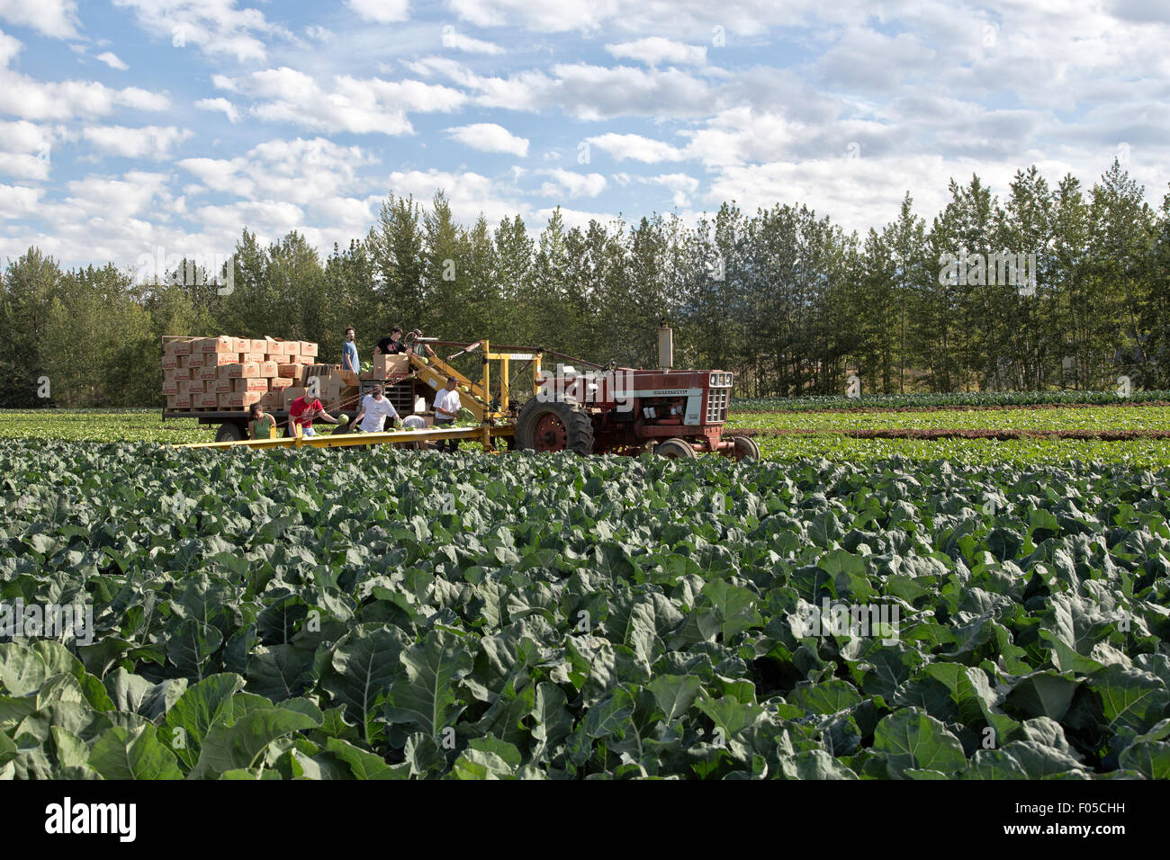 Women farm workers hi-res stock photography and images - Alamy