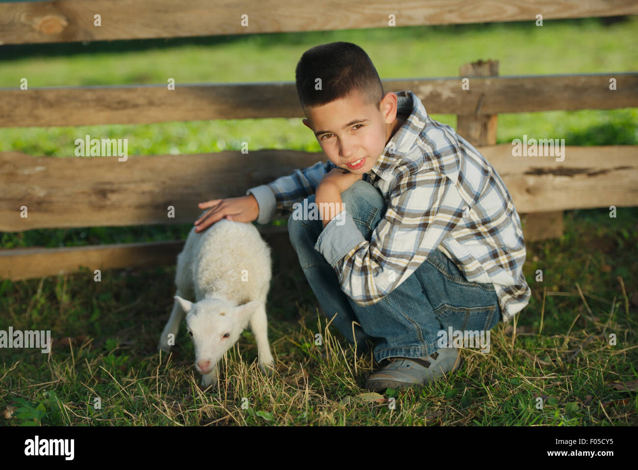 Boy with farm animals hi-res stock photography and images - Alamy