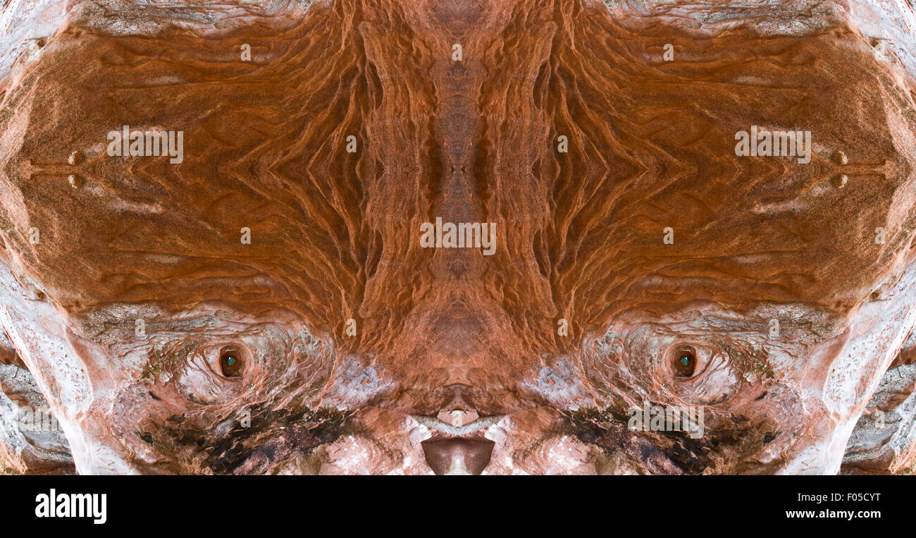 the alien face on the sandstone / The pattern on the surface of the ...