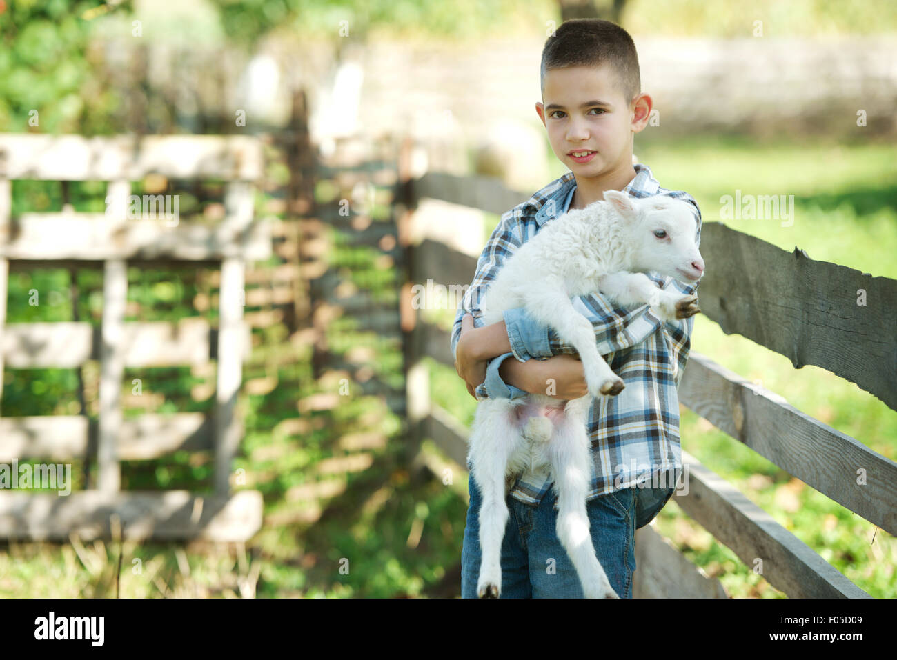Boy with farm animals hi-res stock photography and images - Alamy