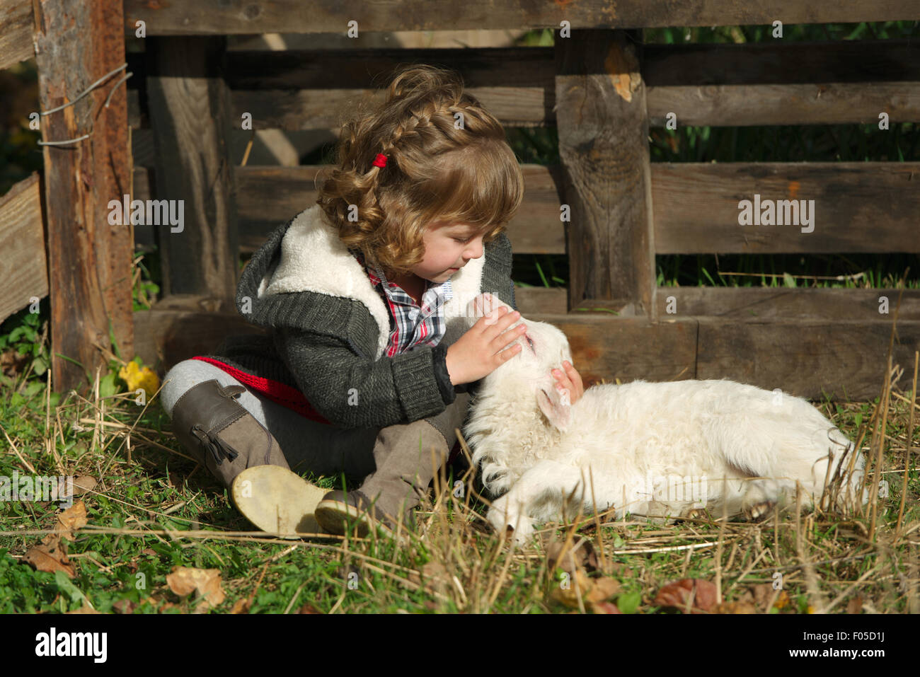 girl with lamb on the farm Stock Photo - Alamy