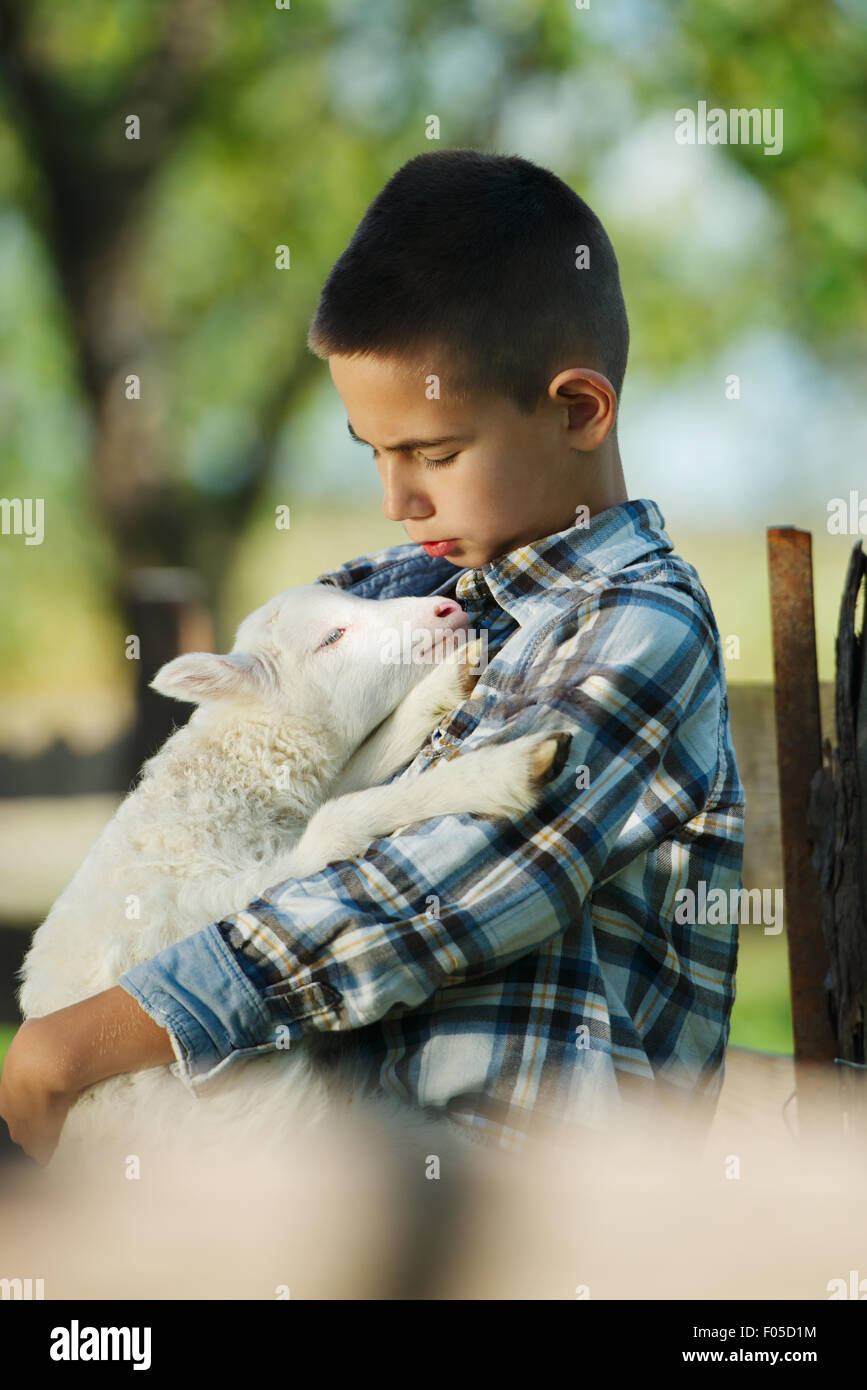 boy with lamb on the farm Stock Photo - Alamy