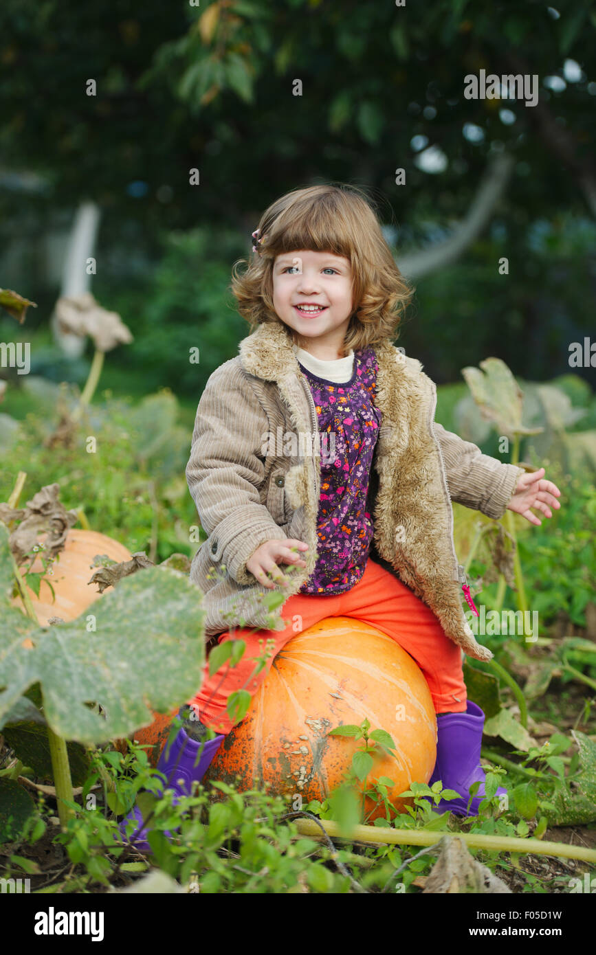 Pulling pumpkin in wagon hi-res stock photography and images - Alamy