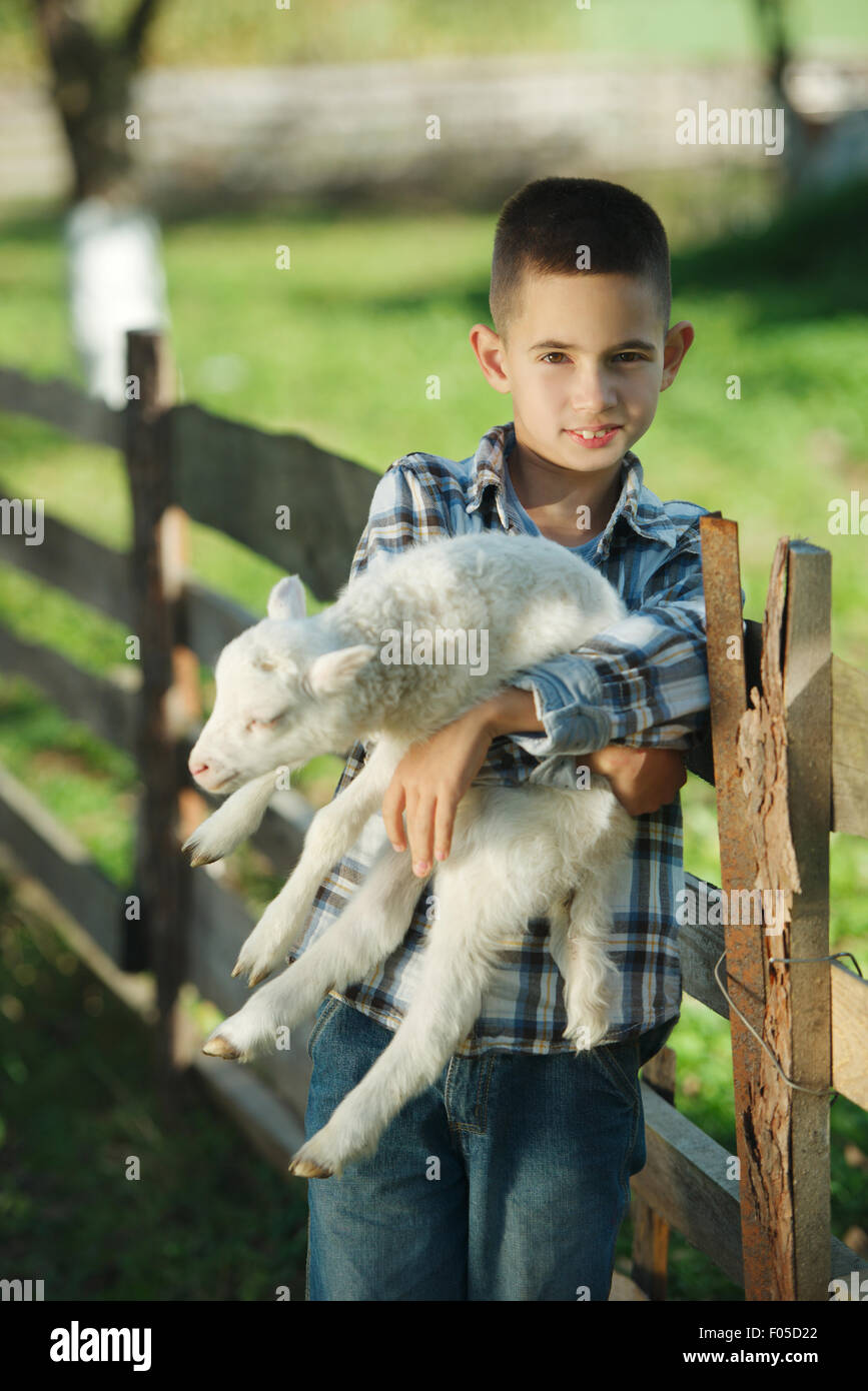 boy with lamb on the farm Stock Photo - Alamy