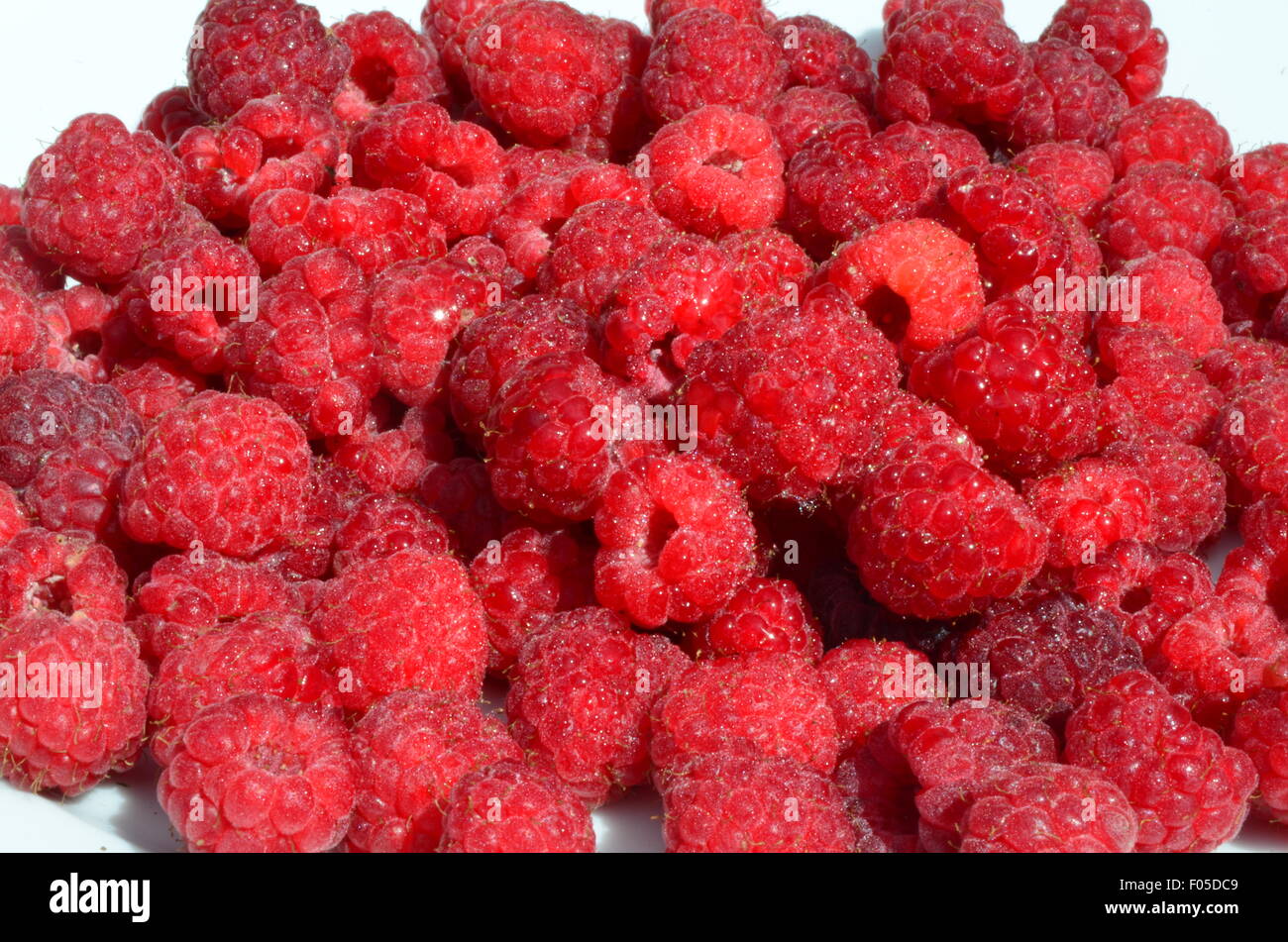 the raspberry, close up, studio, red fruit Stock Photo - Alamy