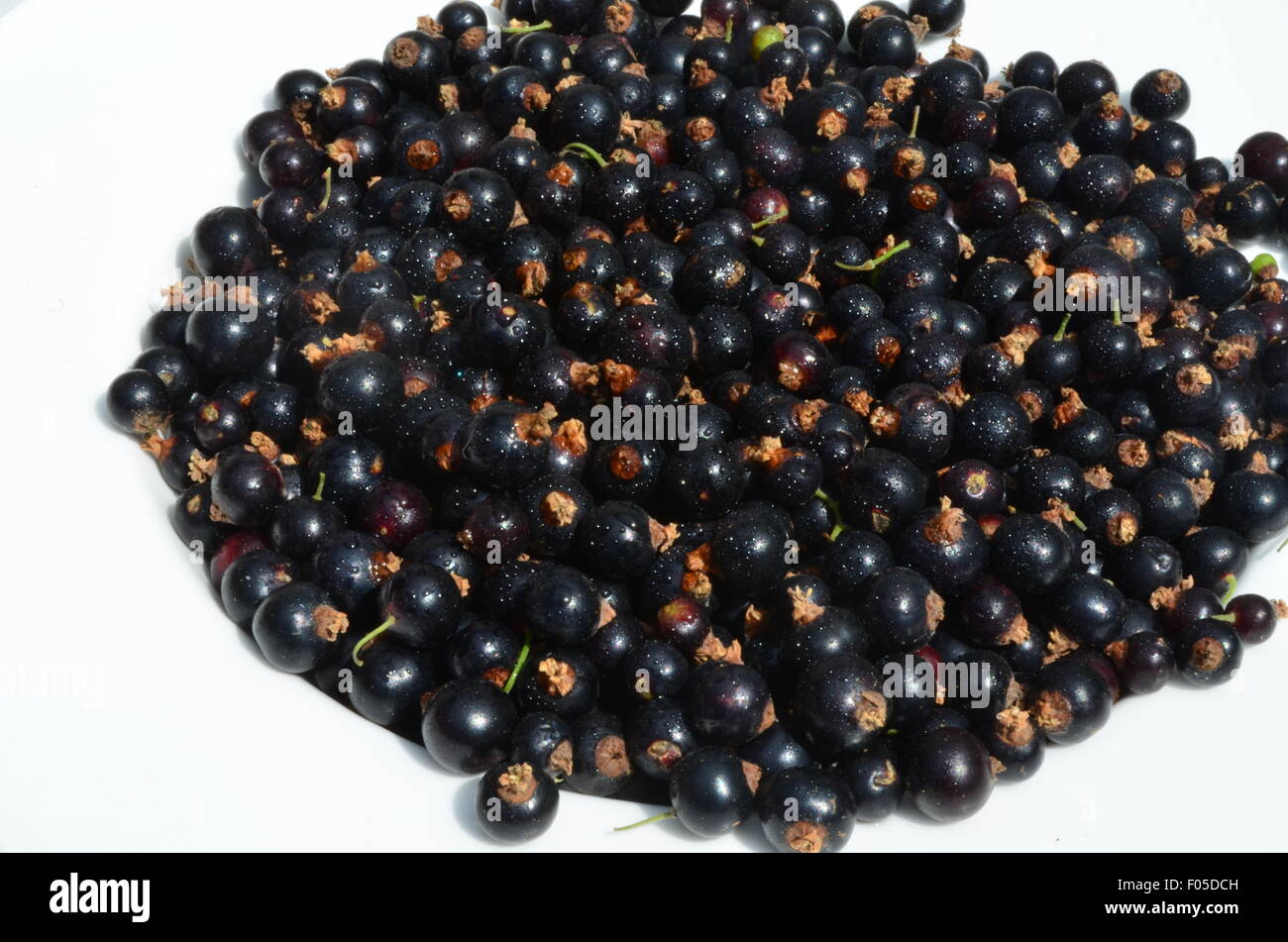 Black current fruit hi-res stock photography and images - Alamy