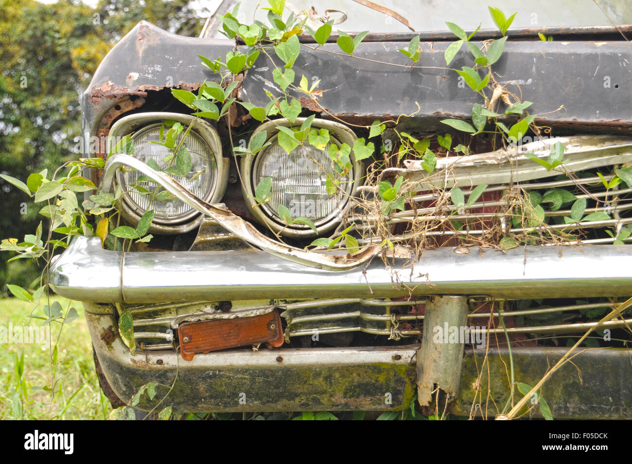Old junk car with nature taking claim of it Stock Photo - Alamy