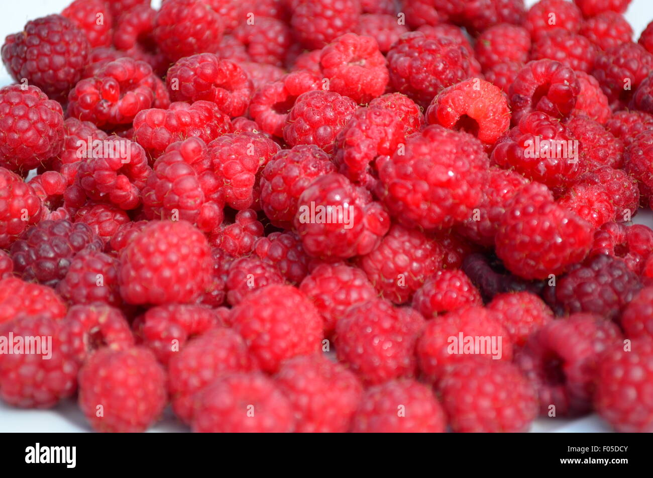 the raspberry, close up, studio, red fruit Stock Photo - Alamy