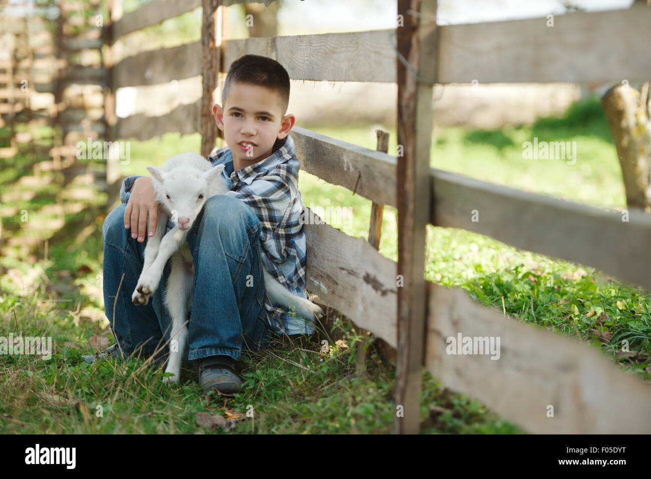 boy with lamb on the farm Stock Photo - Alamy